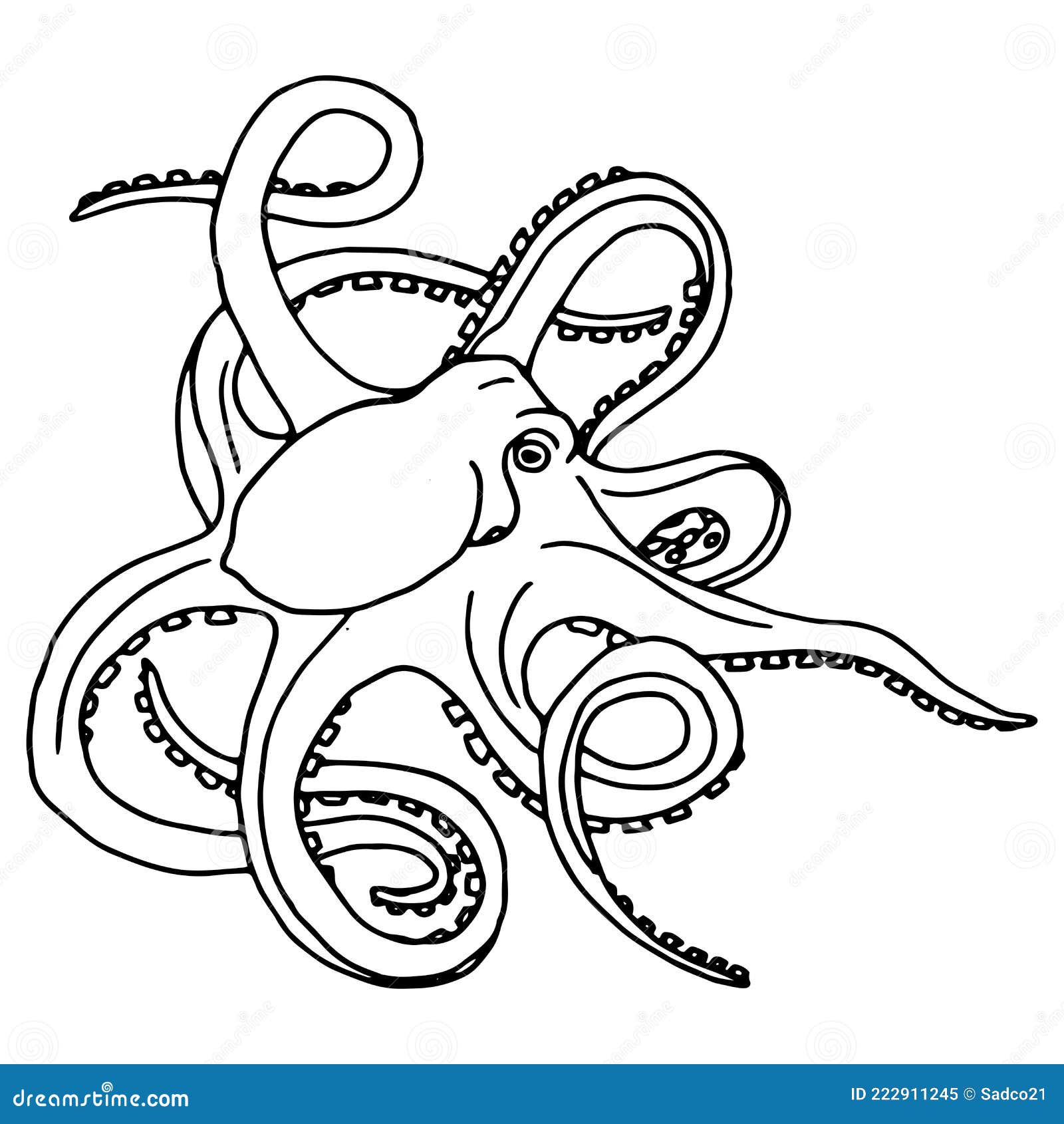 Hand drawn octopus doodle stock vector. Illustration of ocean - 222911245