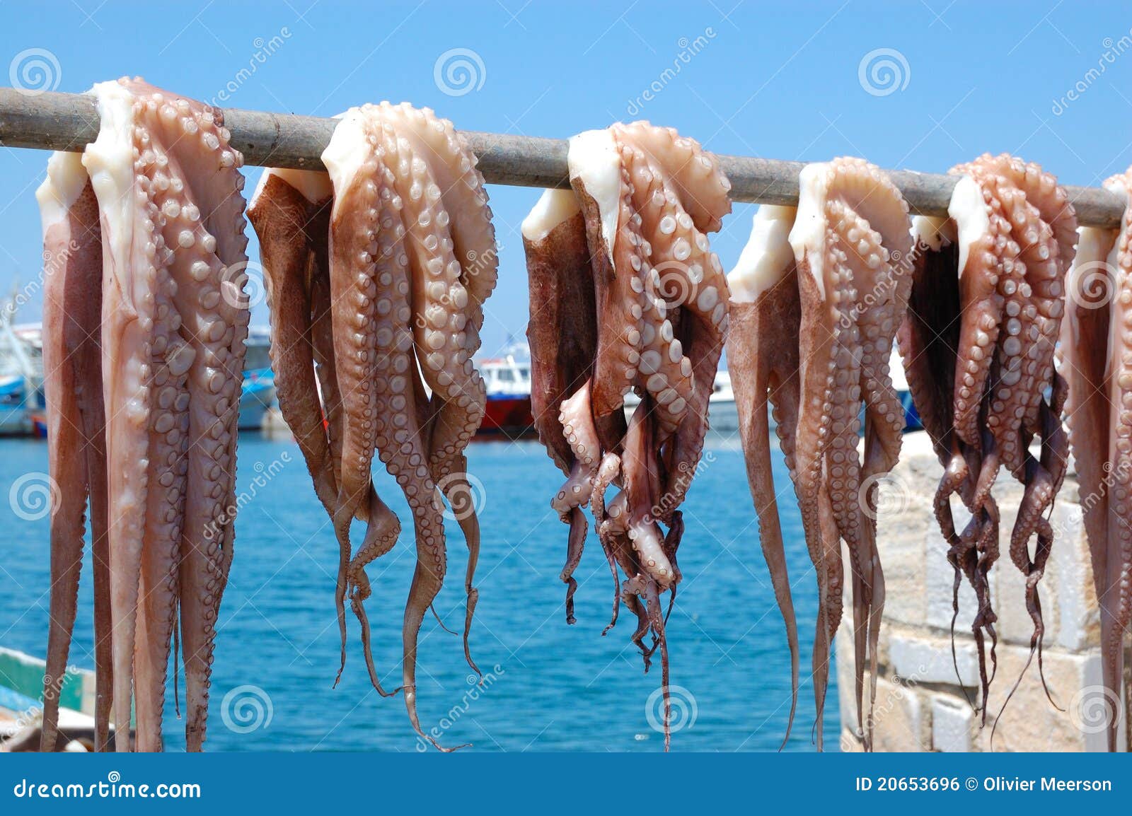 Octopus Drying in Greek Islands Stock Photo - Image of greek, holidays ...