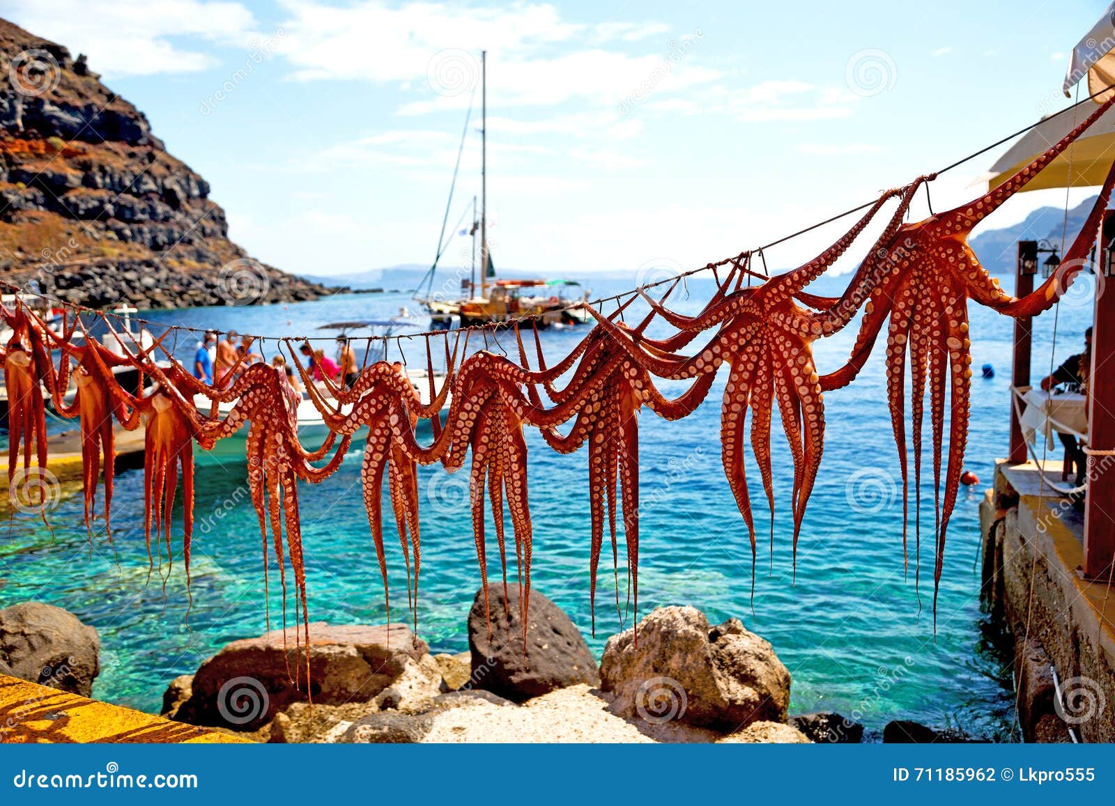 Octopus Drying in Sun and Light Stock Photo - Image of horizontal ...