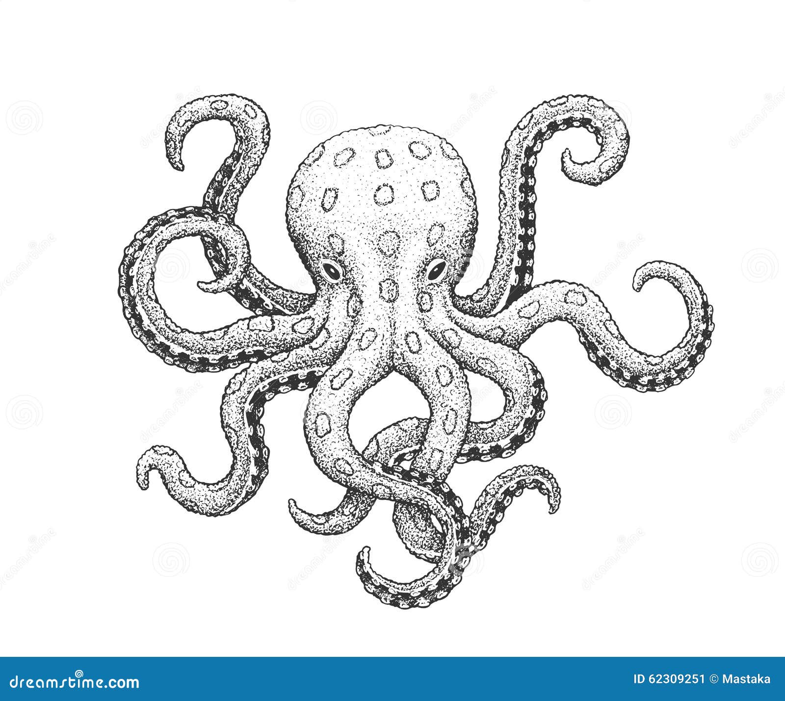 Octopus Engraving Illustration Stock Vector - Illustration of pencil ...