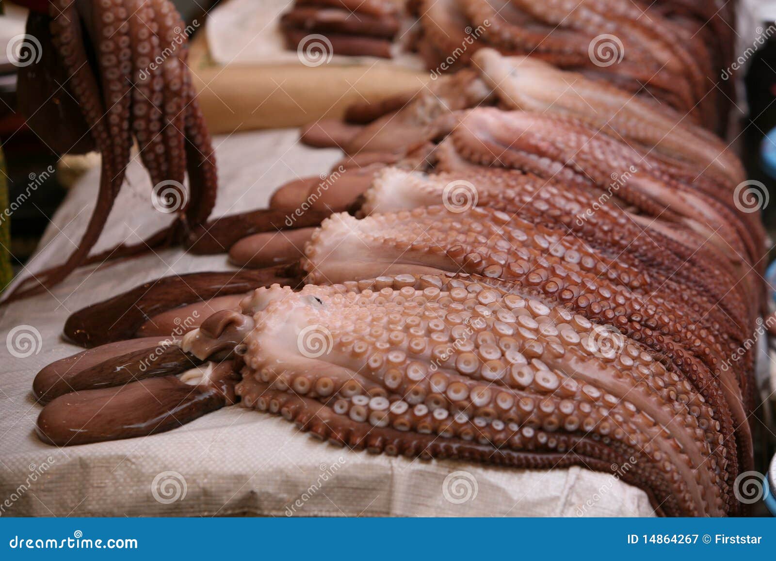 Octopus.Fish Market in South Korea Stock Image - Image of life, fish ...
