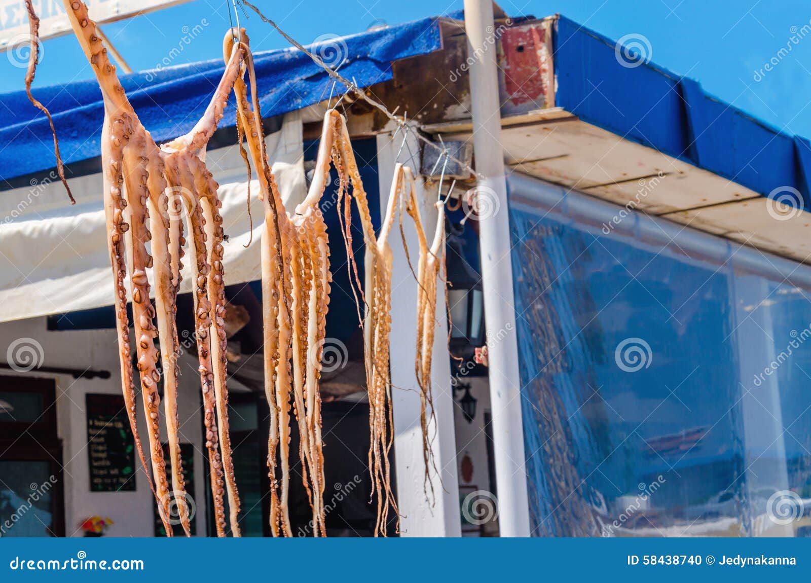 Octopus Hanging To Dry on a Rope by Restaurant Stock Photo - Image of ...