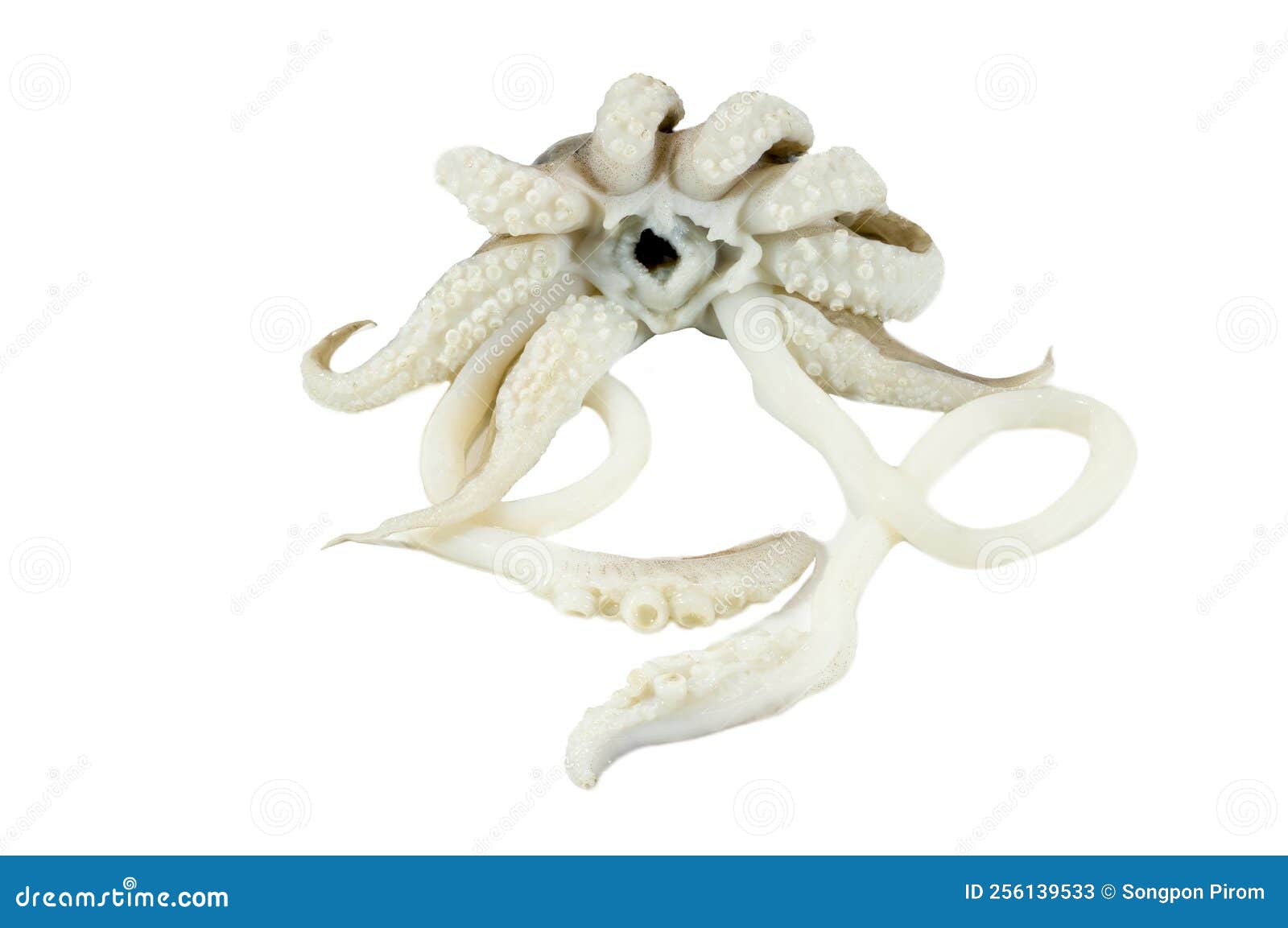 Octopus Head For The Replacement Of A Crane In The Port Of Barcelona ...