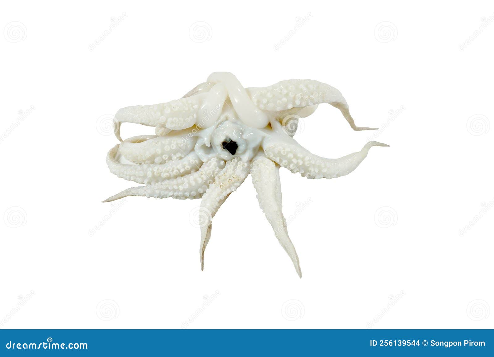 Octopus Head For The Replacement Of A Crane In The Port Of Barcelona ...