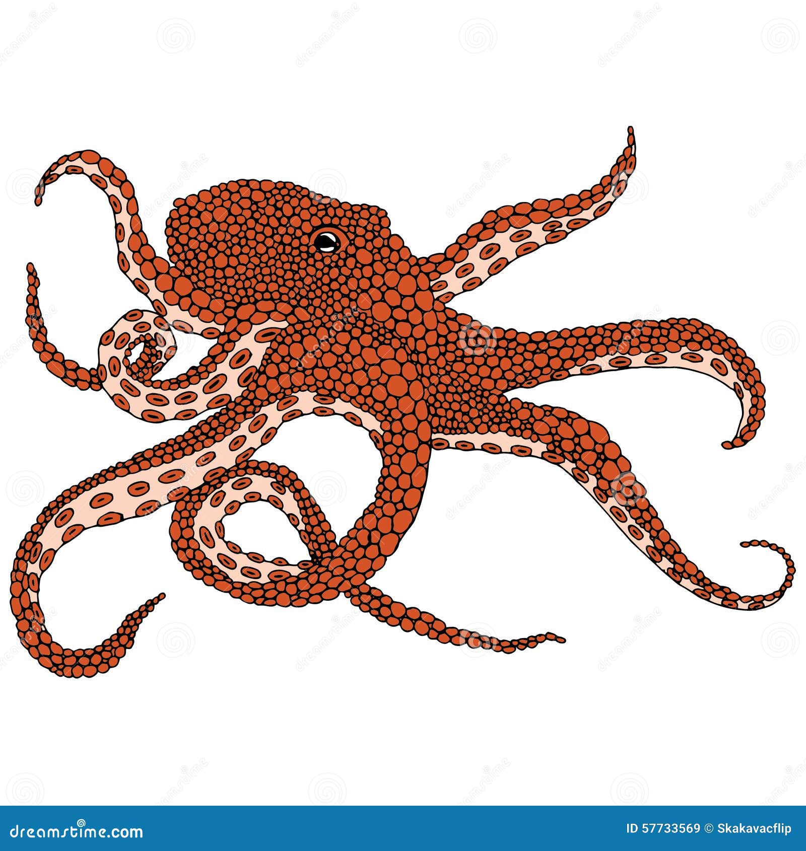 Octopus Illustration Cartoon Vector | CartoonDealer.com #57733569