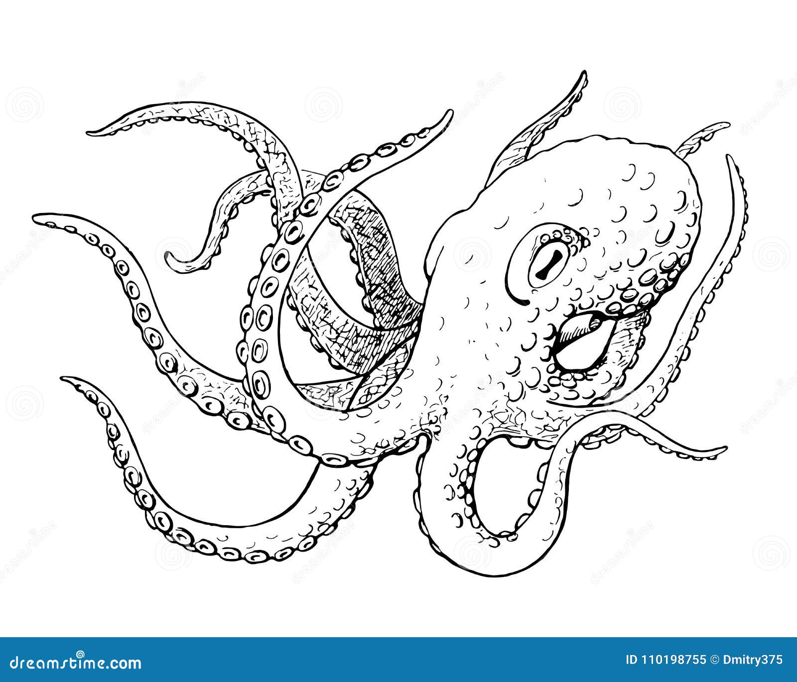 Octopus Ink Illustration