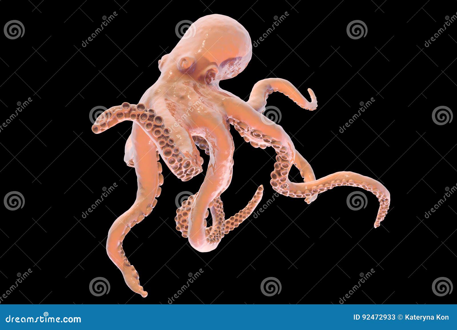 Octopus Isolated on Black Background Stock Illustration - Illustration ...