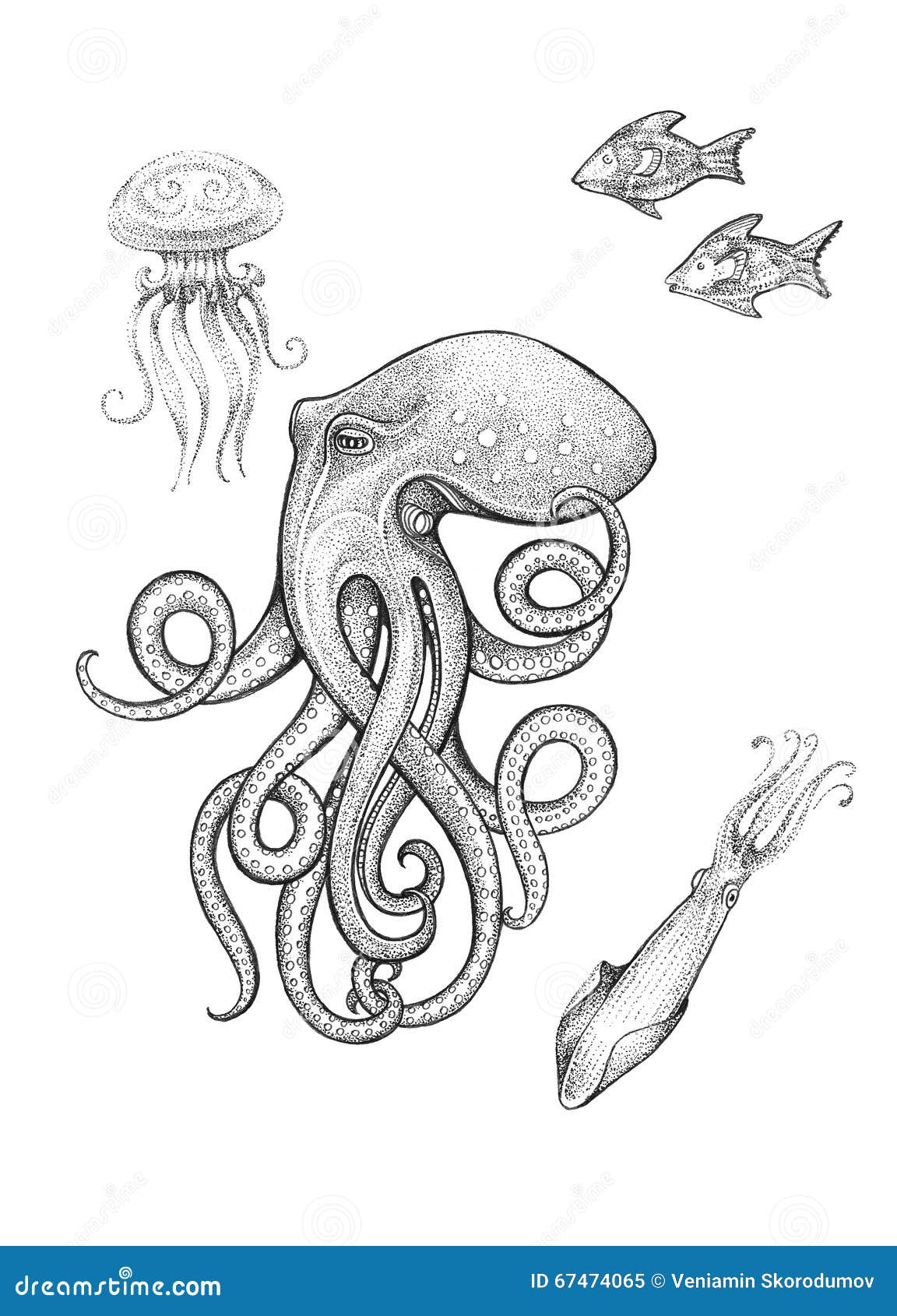 Octopus, Jellyfish, Squid, Fish Stock Illustration - Illustration of ...