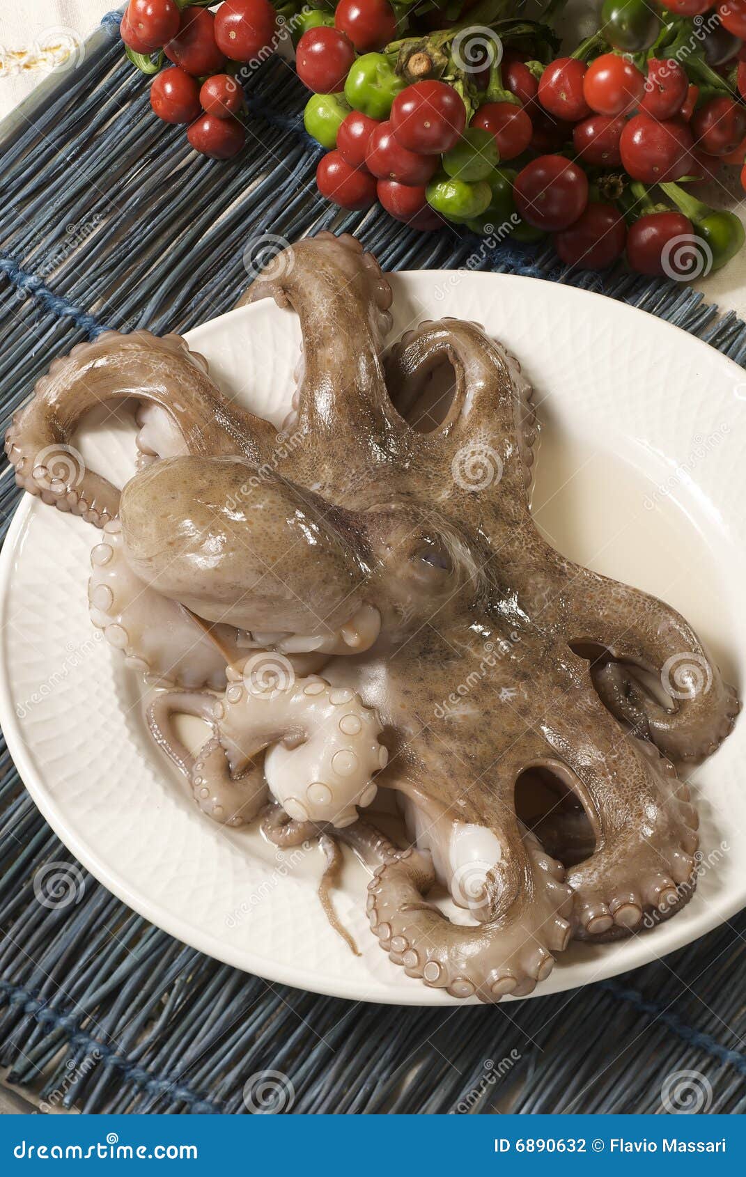 Octopus lying stock photo. Image of health, dining, fish - 6890632