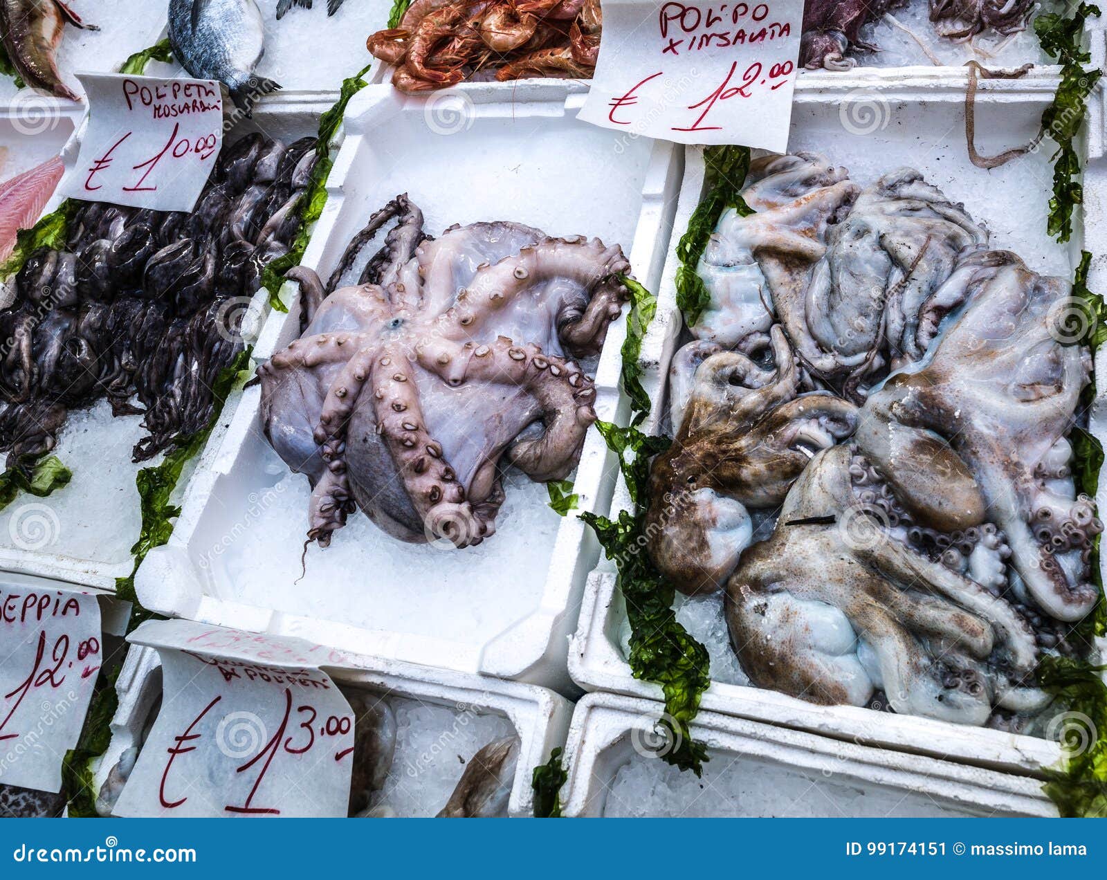 Octopus at market stock image. Image of hangover, cuisine - 99174151