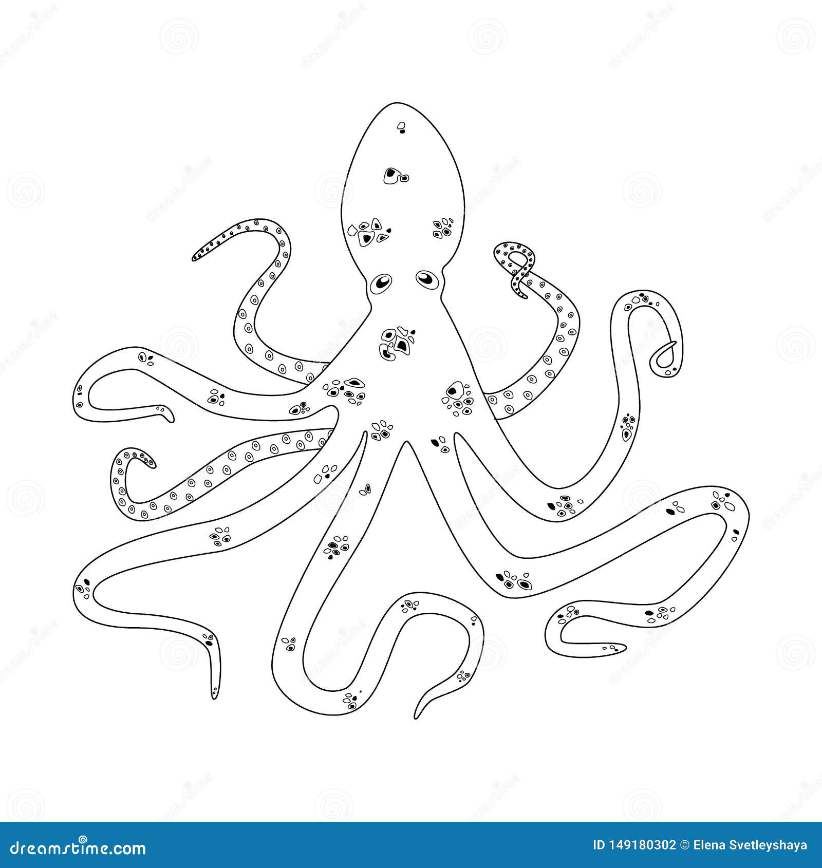 Octopus Outline Illustration Isolated On White Background Cartoon ...