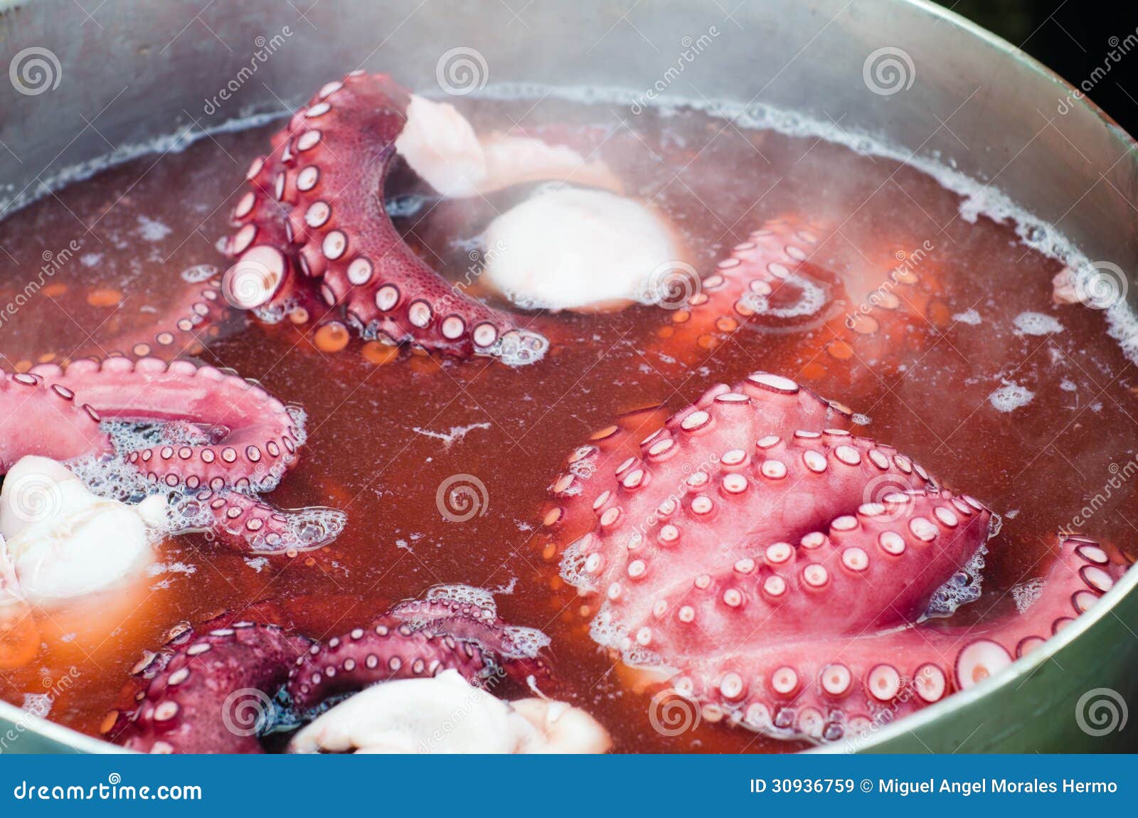 Octopus stock image. Image of galicia, tentacles, octopod - 30936759
