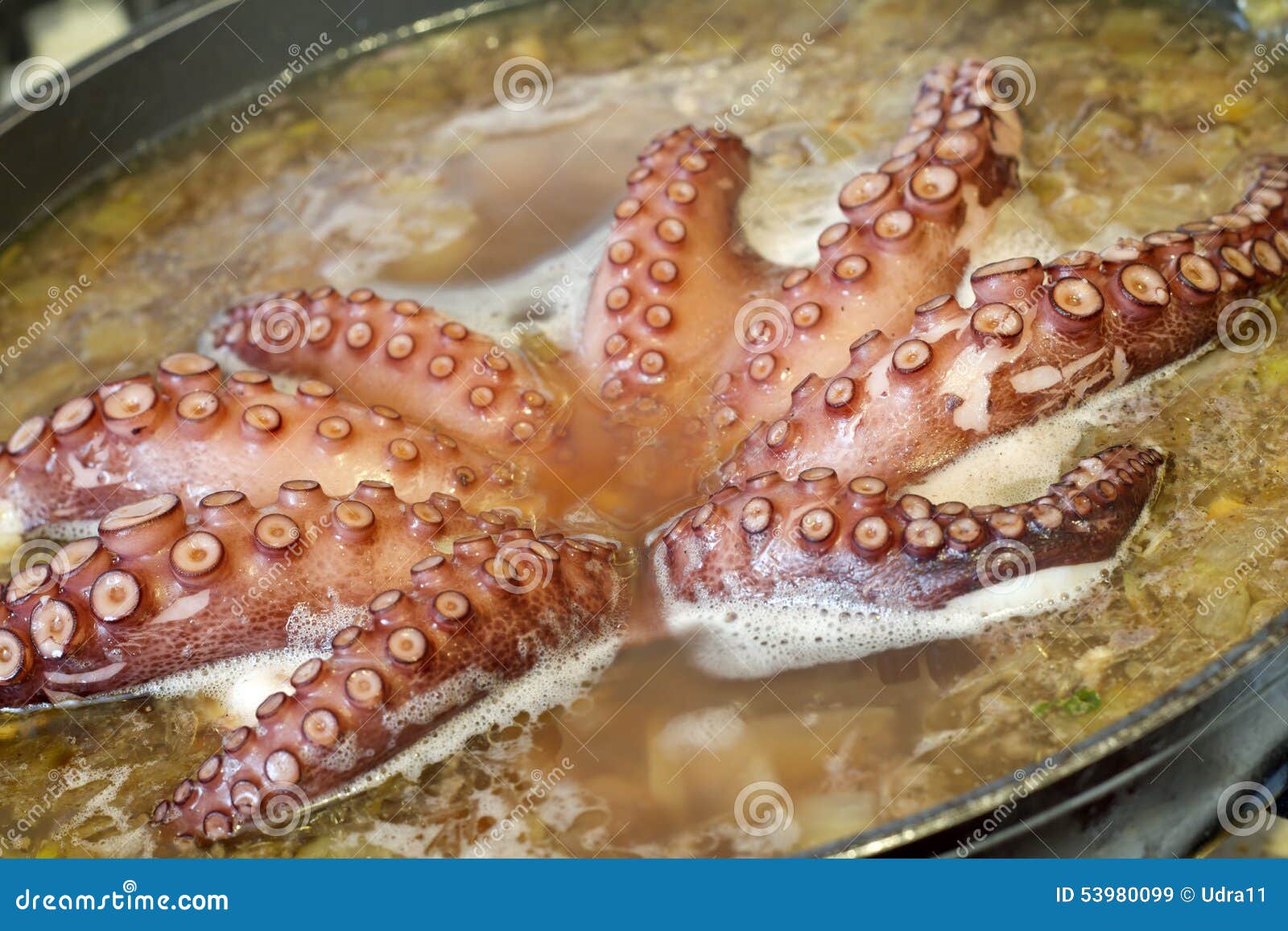 Octopus Preparing To Eat in the Kitchen Stock Image - Image of cuisine ...