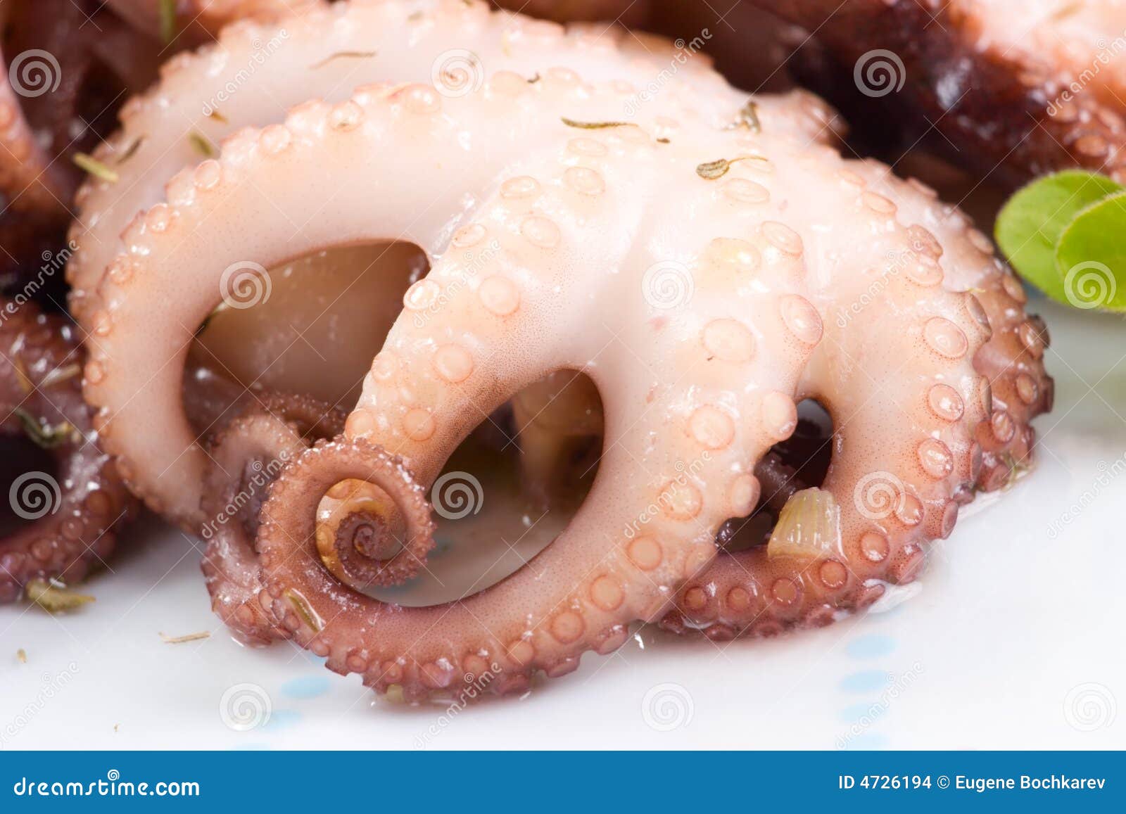 Octopus in red wine stock photo. Image of dinner, octopuses - 4726194