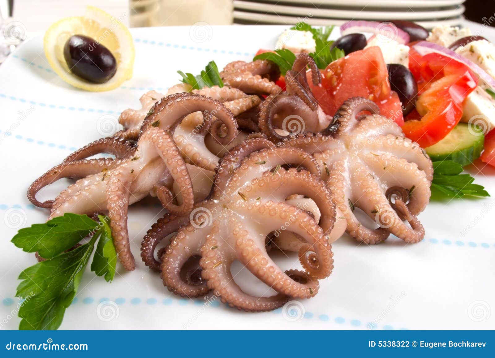 Octopus in red wine stock photo. Image of salad, dinner - 5338322