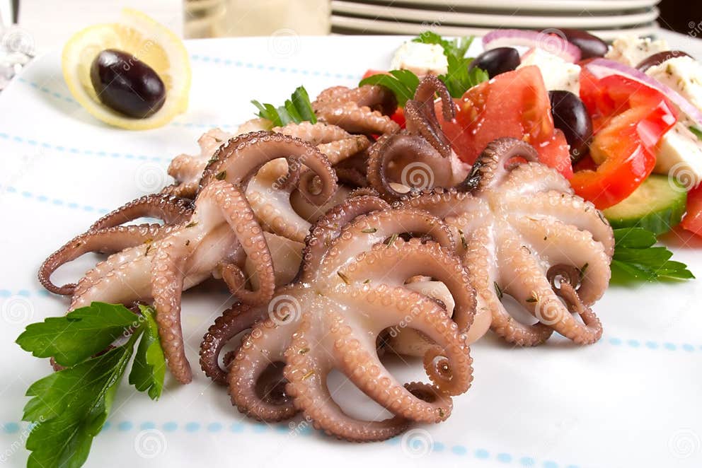 Octopus in red wine stock photo. Image of salad, dinner - 5338322