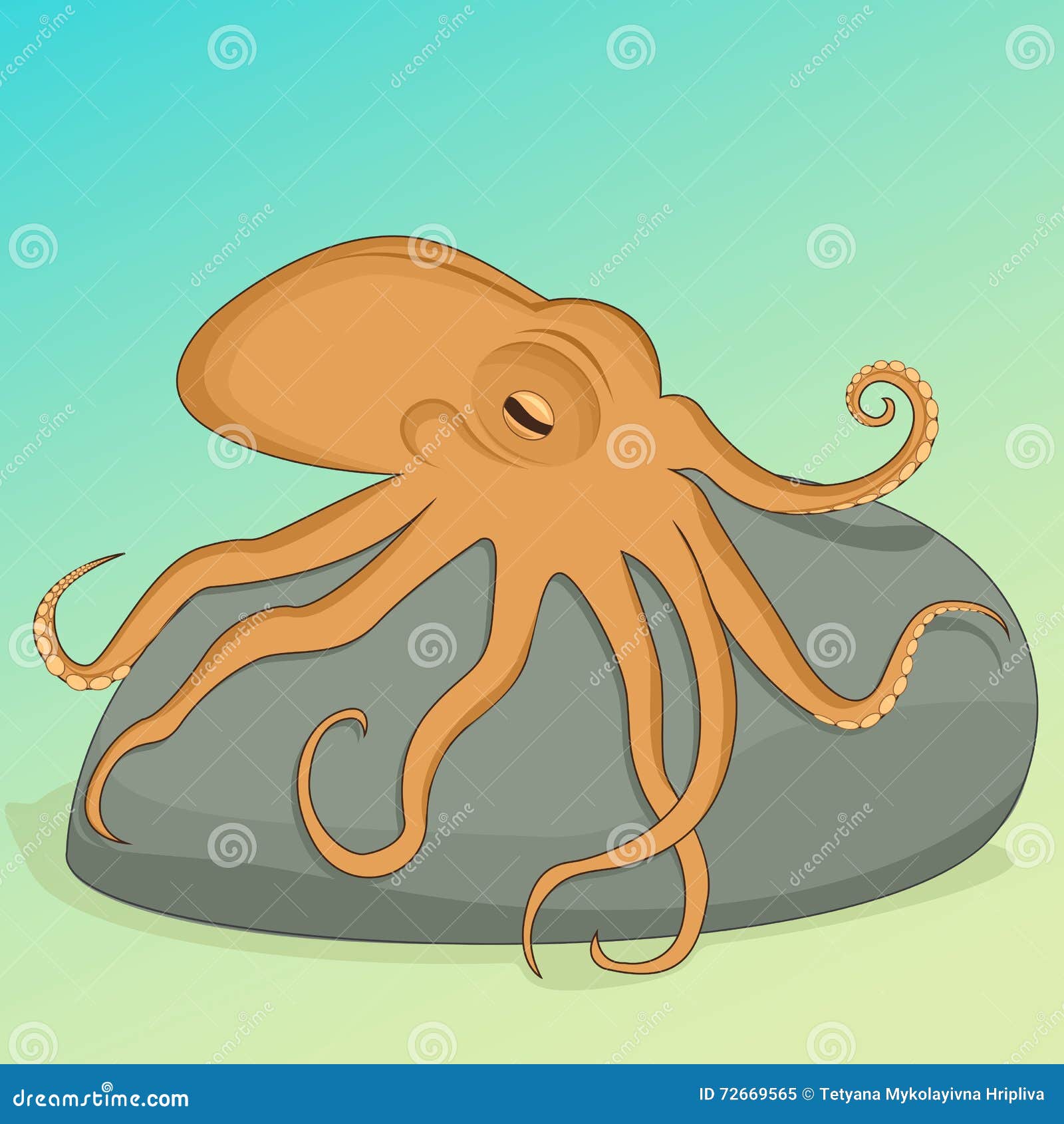 Octopus on the rock stock vector. Illustration of devilfish - 72669565