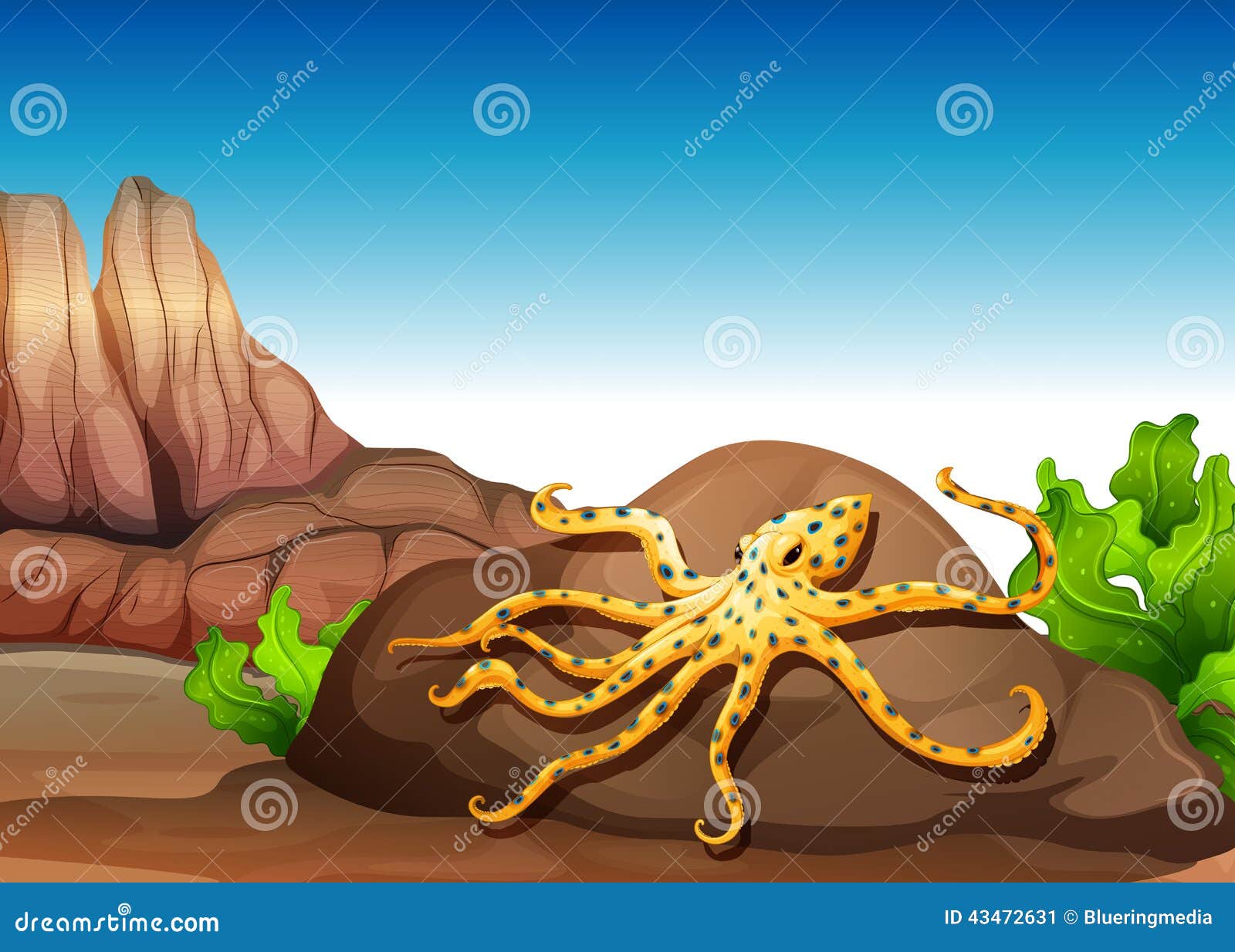 An octopus at the rock stock vector. Illustration of graphic - 43472631