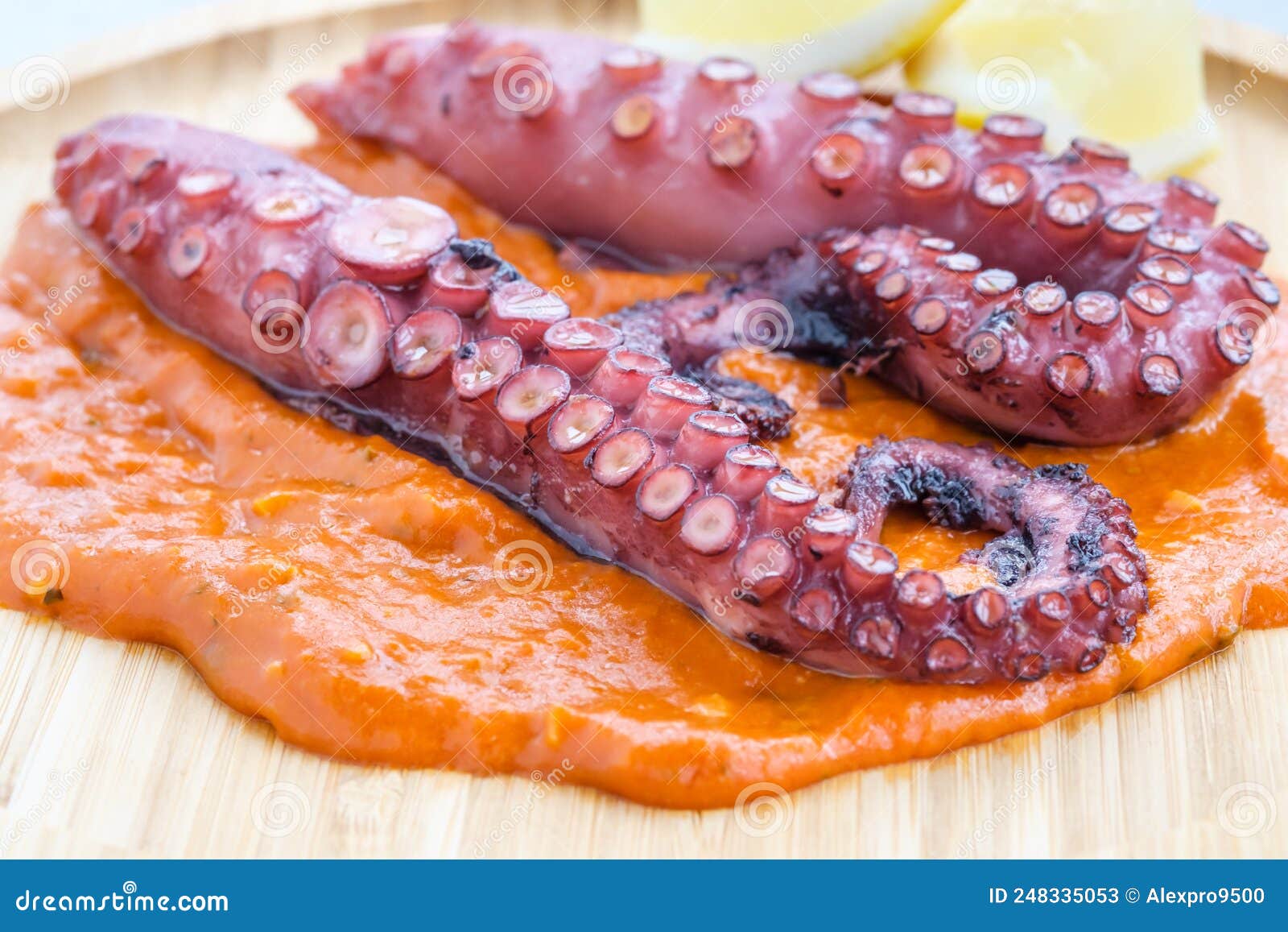 Octopus with romesco sauce stock image. Image of steamed - 248335053