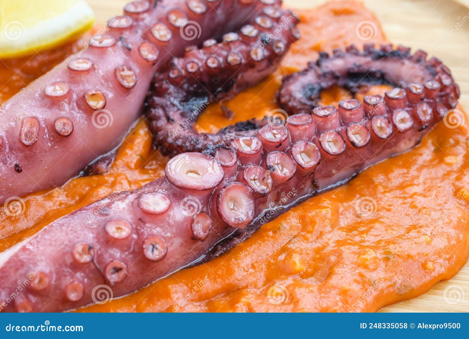 Octopus with romesco sauce stock photo. Image of delicious - 248335058