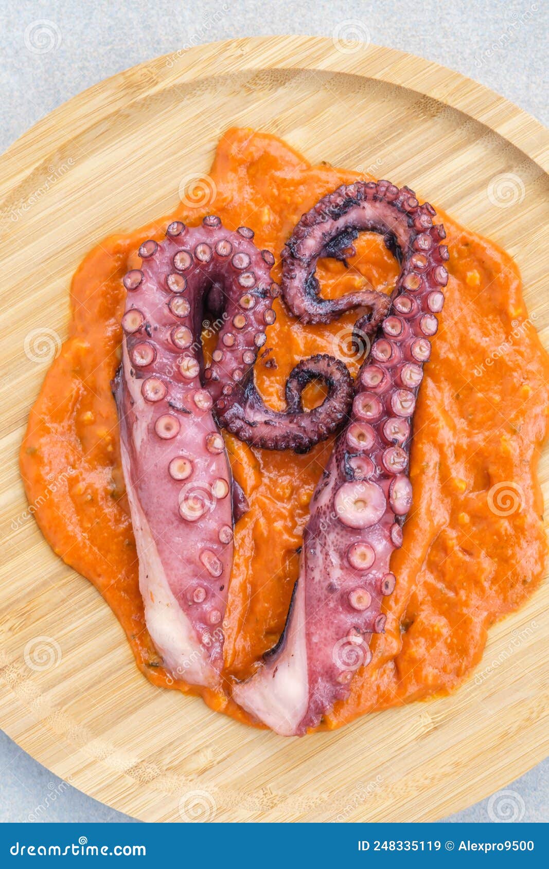 Octopus with romesco sauce stock image. Image of cuisine - 248335119