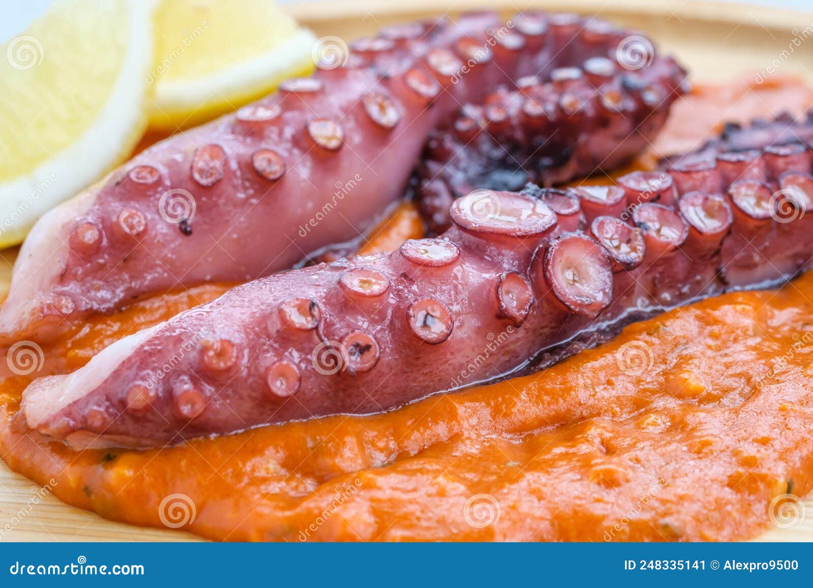 Octopus with romesco sauce stock image. Image of mediterranean - 248335141