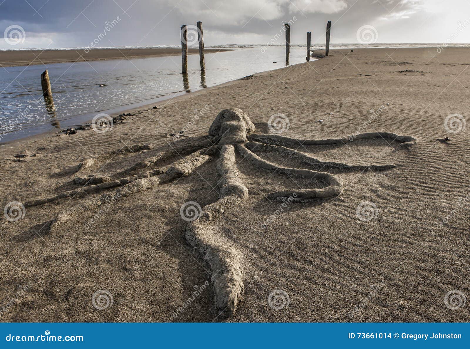 Octopus sand sculpture. stock photo. Image of tide, sculpture - 73661014