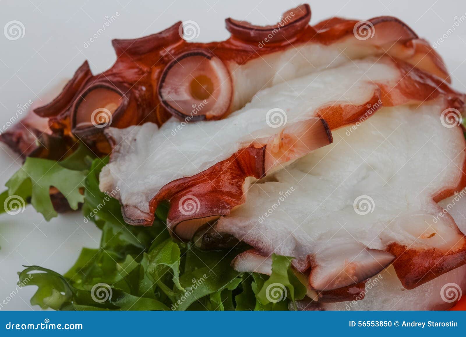 Octopus sashimi stock photo. Image of delicious, background - 56553850