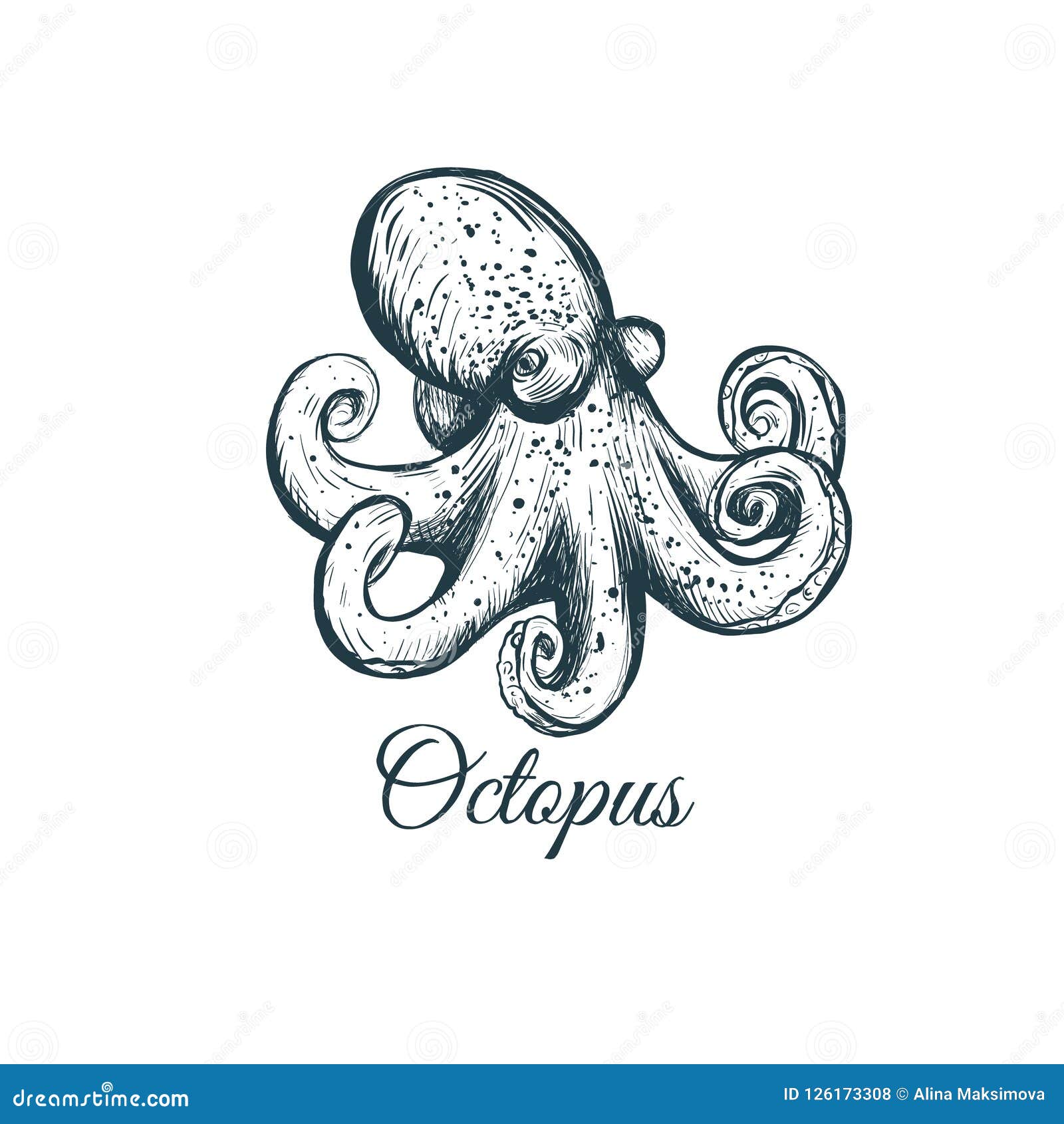 Octopus Sketch Hand Drawing. Stock Vector - Illustration of tentacle ...