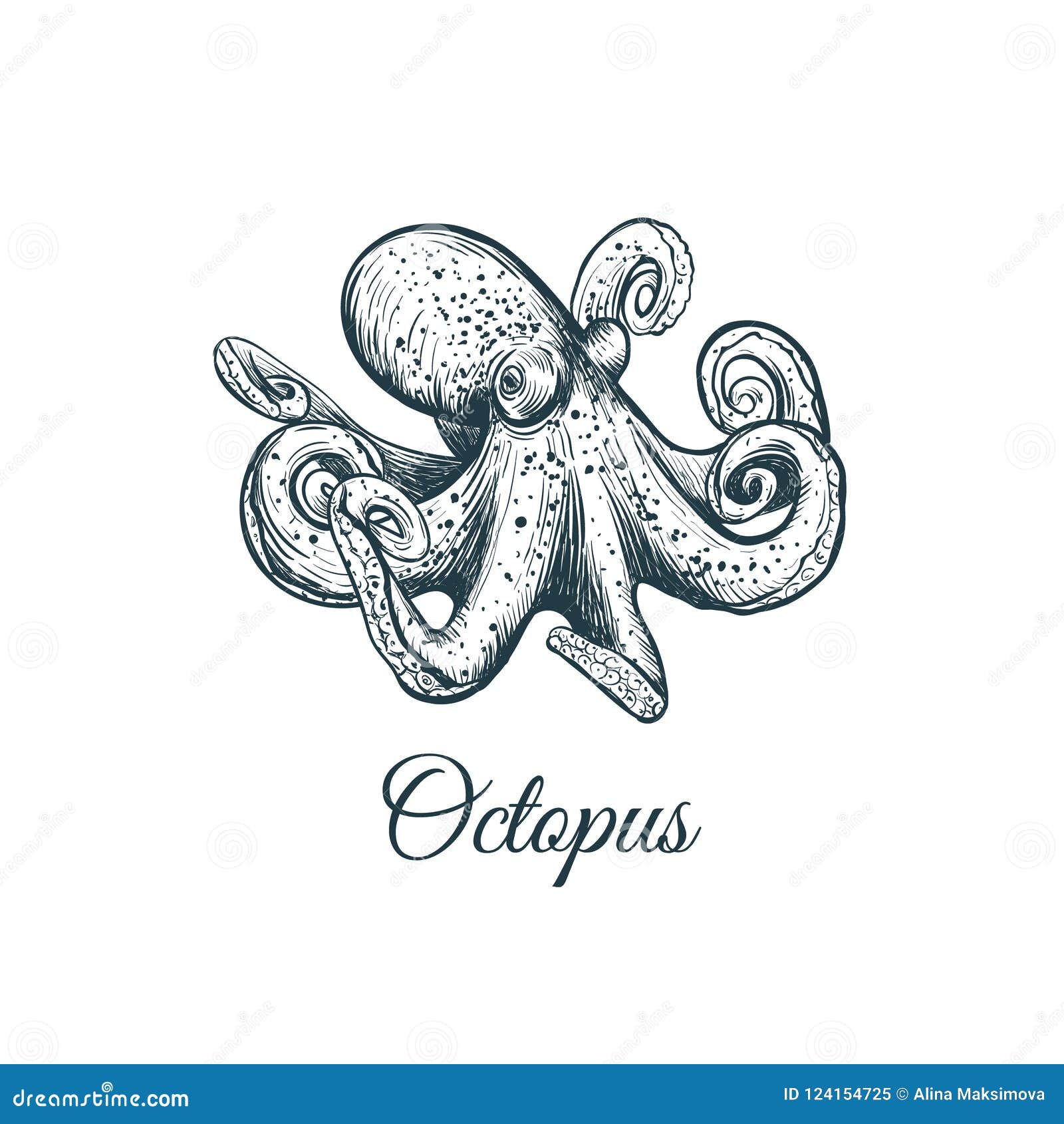 Octopus Sketch Hand Drawing. Stock Vector - Illustration of retro ...