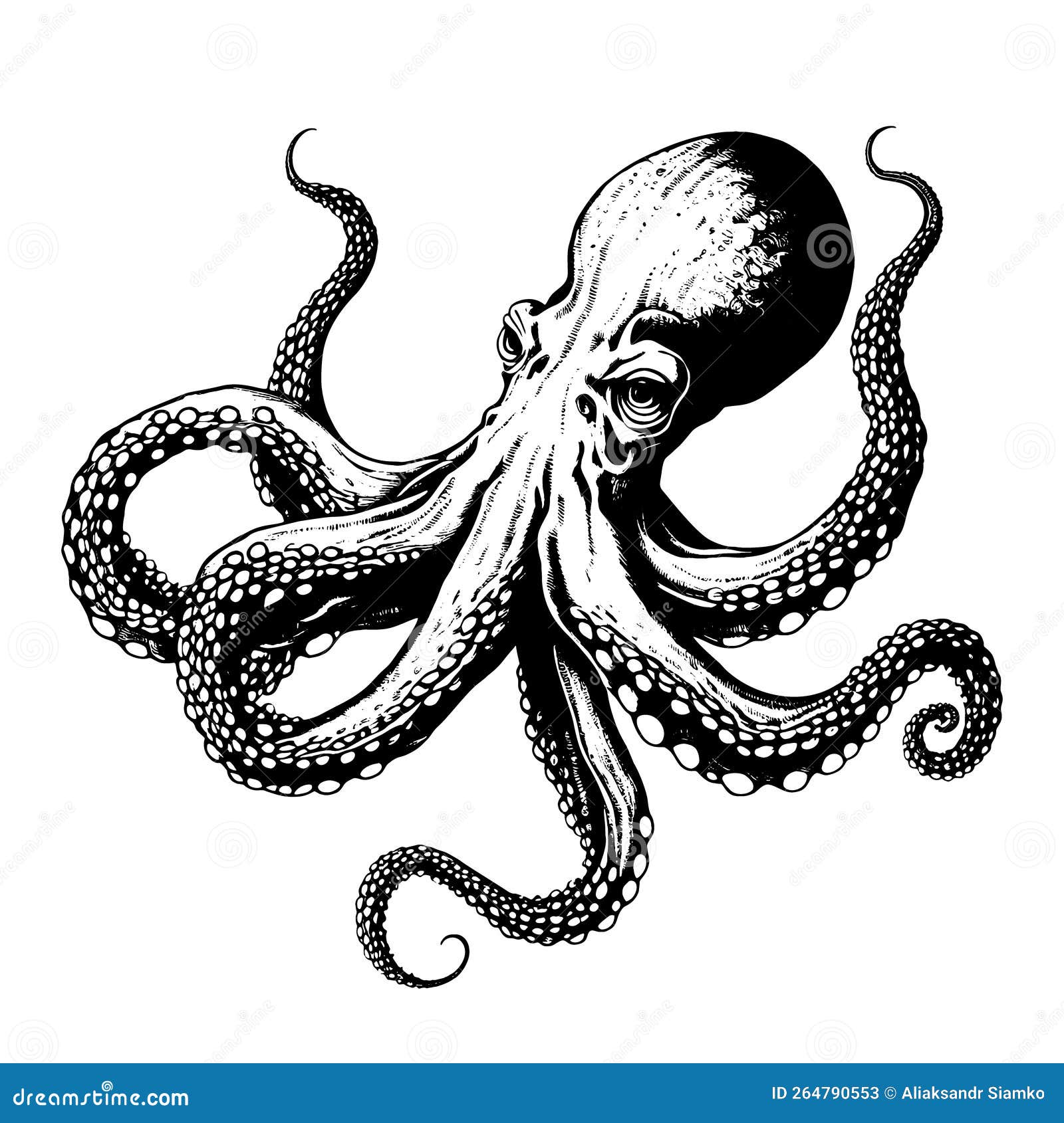 Octopus Sketch. Hand Drawn Vector Stock Vector - Illustration of ...