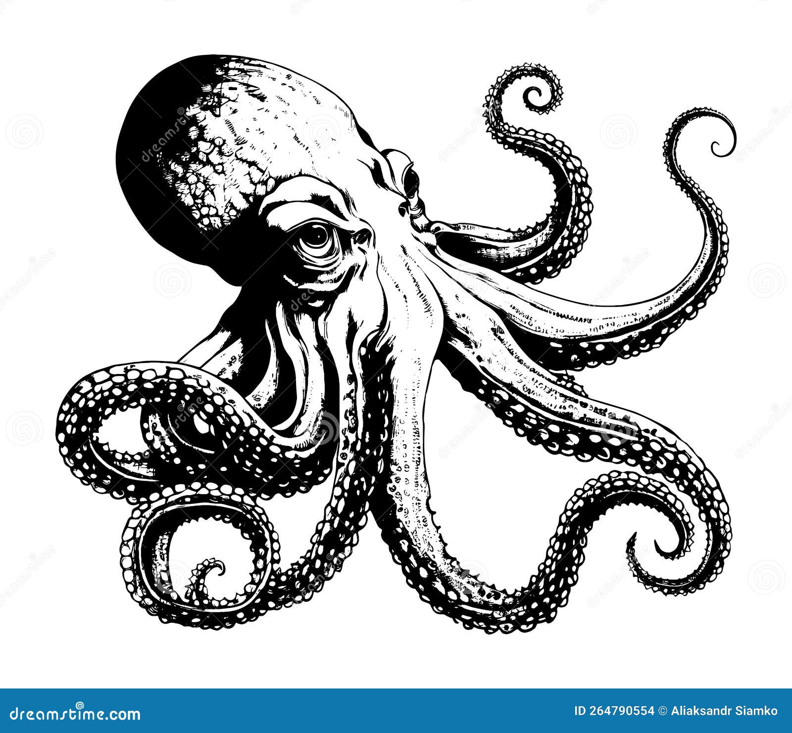Octopus Sketch. Hand Drawn Vector Stock Vector - Illustration of nature ...