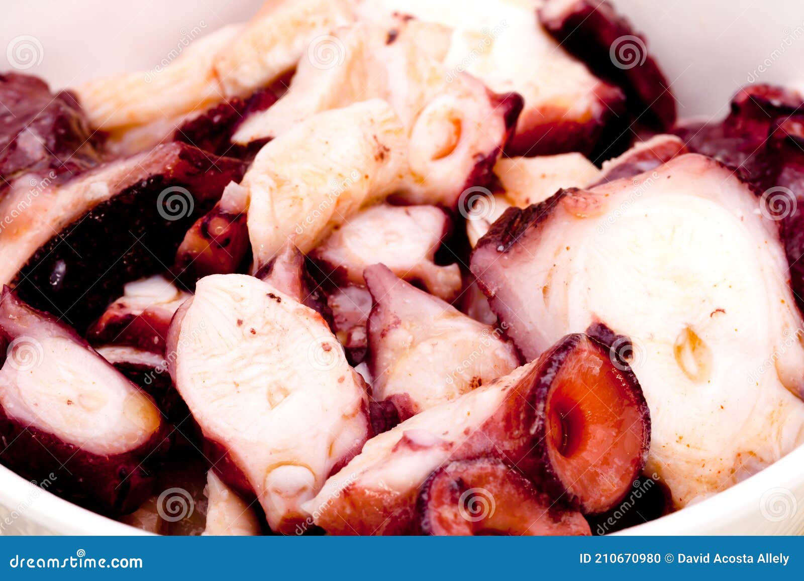 Octopus slices stock photo. Image of composition, dinner - 210670980
