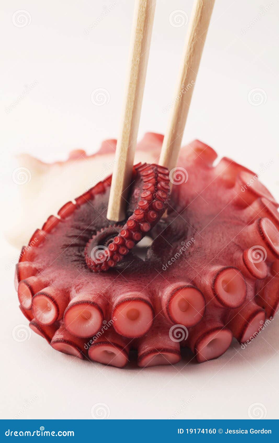 Octopus Sushi Chopsticks Stock Photography | CartoonDealer.com #19174160