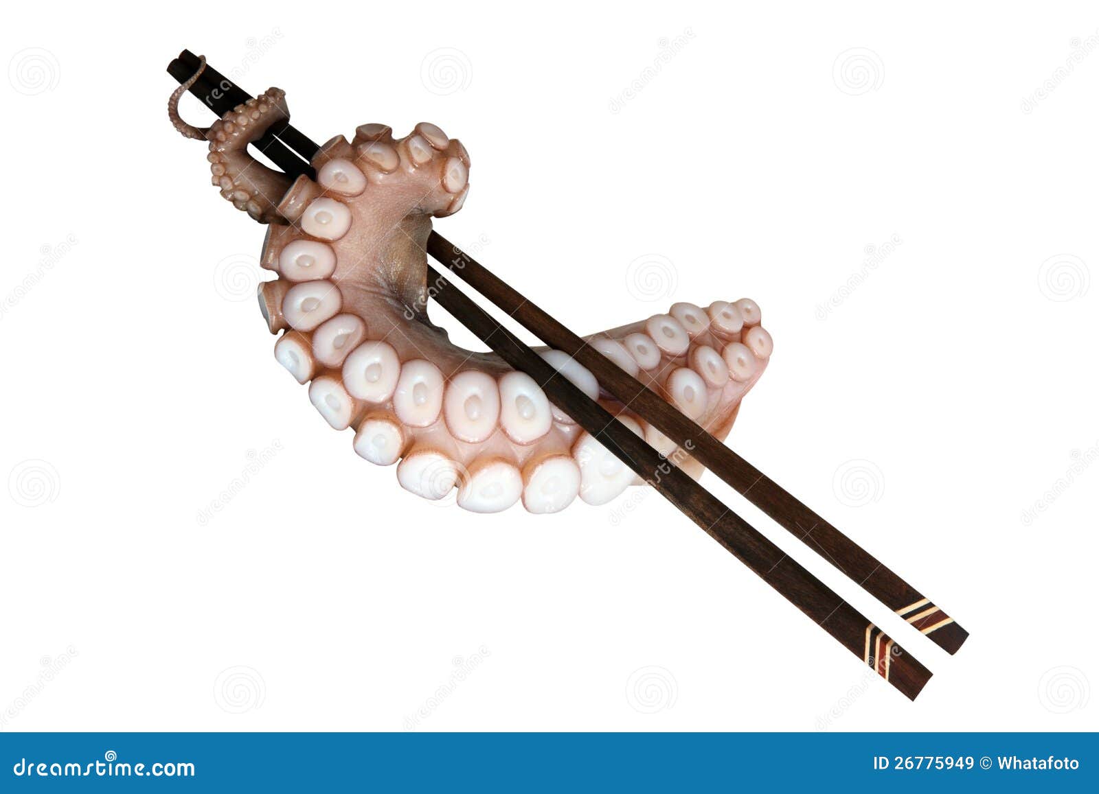 Octopus tako sushi Sashimi stock image. Image of animal - 26775949