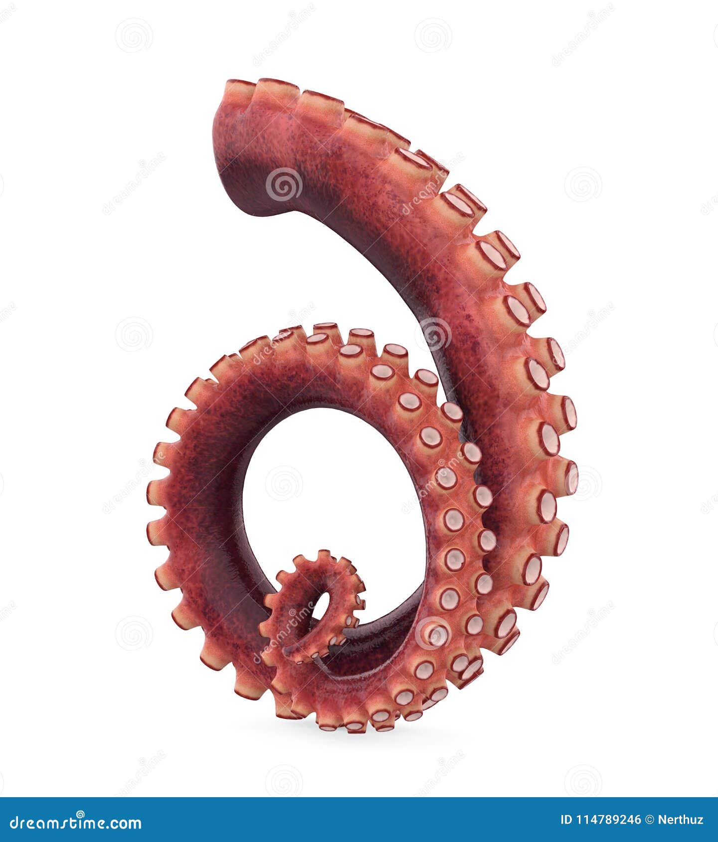 Octopus Tentacle Rectangular Frame Isolated Vector | CartoonDealer.com ...