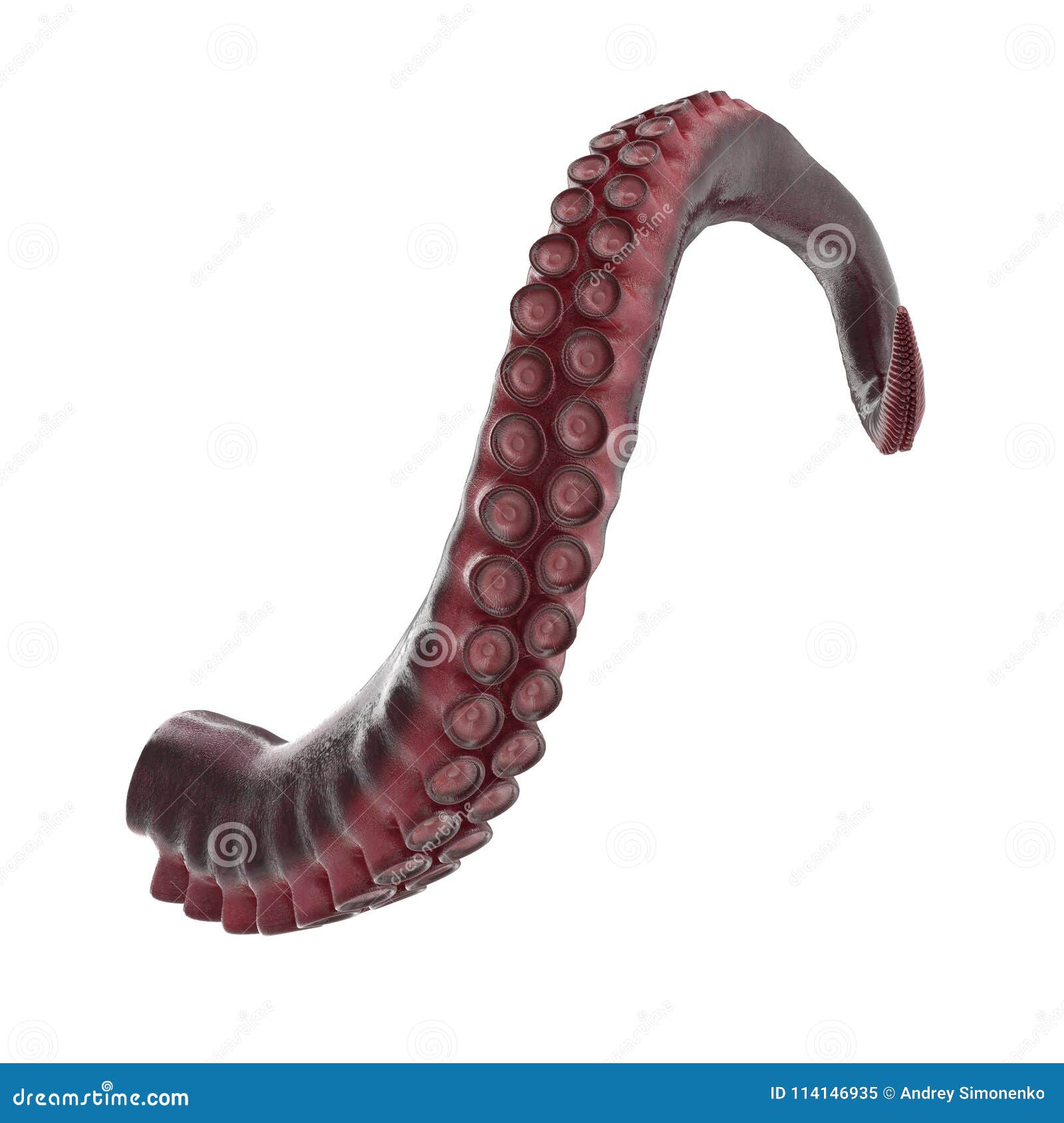 Octopus Tentacle Kit Side View Isolated On White Vector Illustration ...