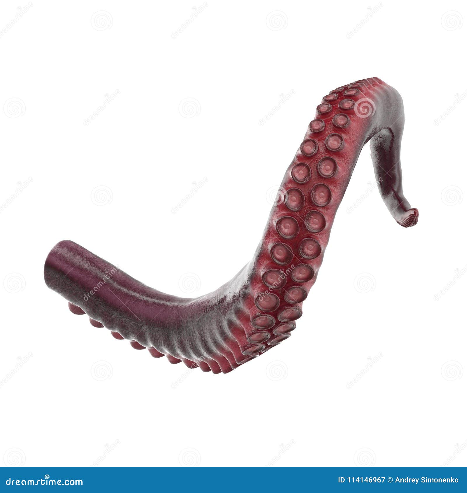 Octopus Tentacle Rising Up, Stretching. Sea Underwater Krakens Leg With ...