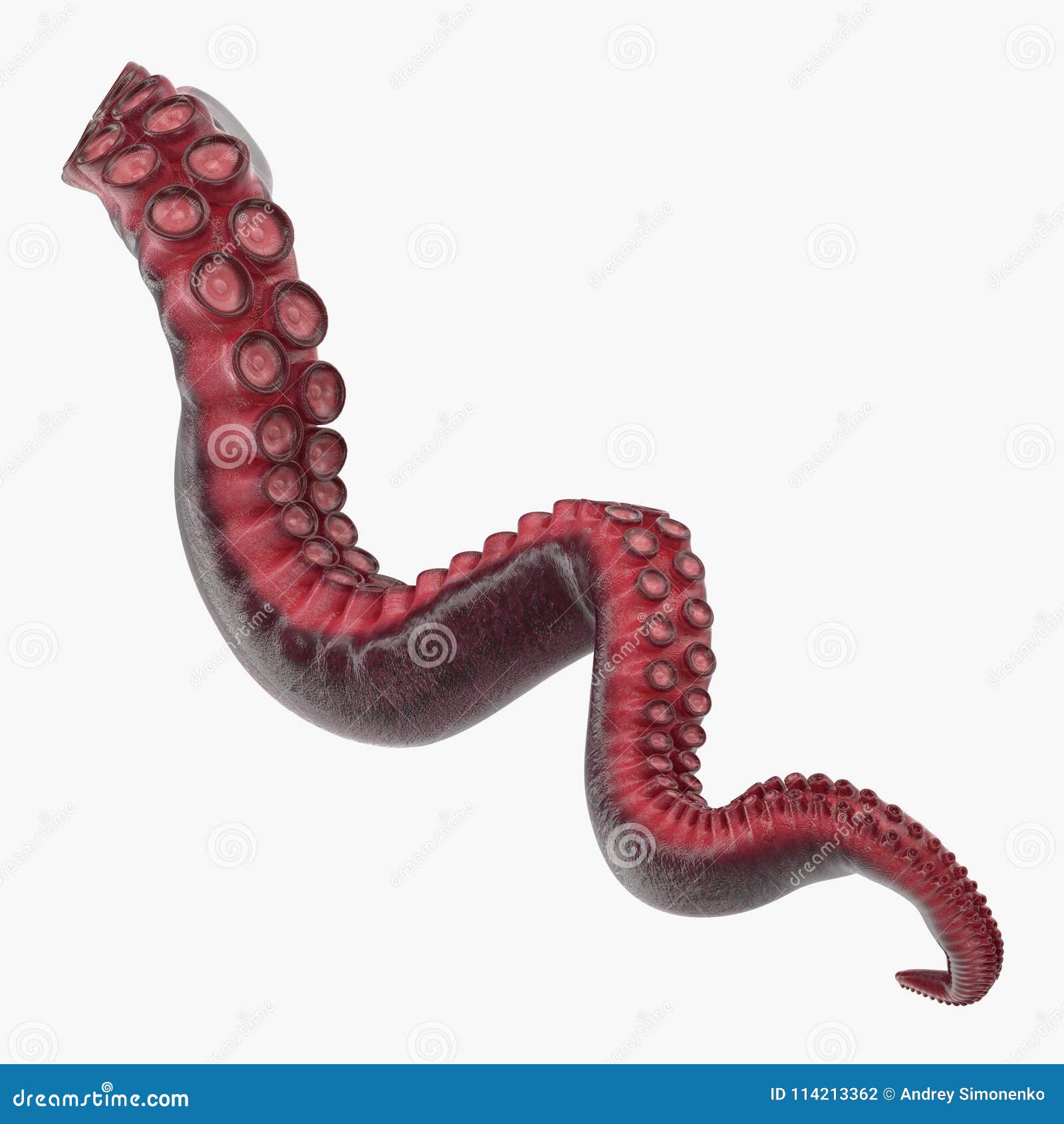 Octopus Tentacle Vector Giant Illustration Monster Sea Creature ...