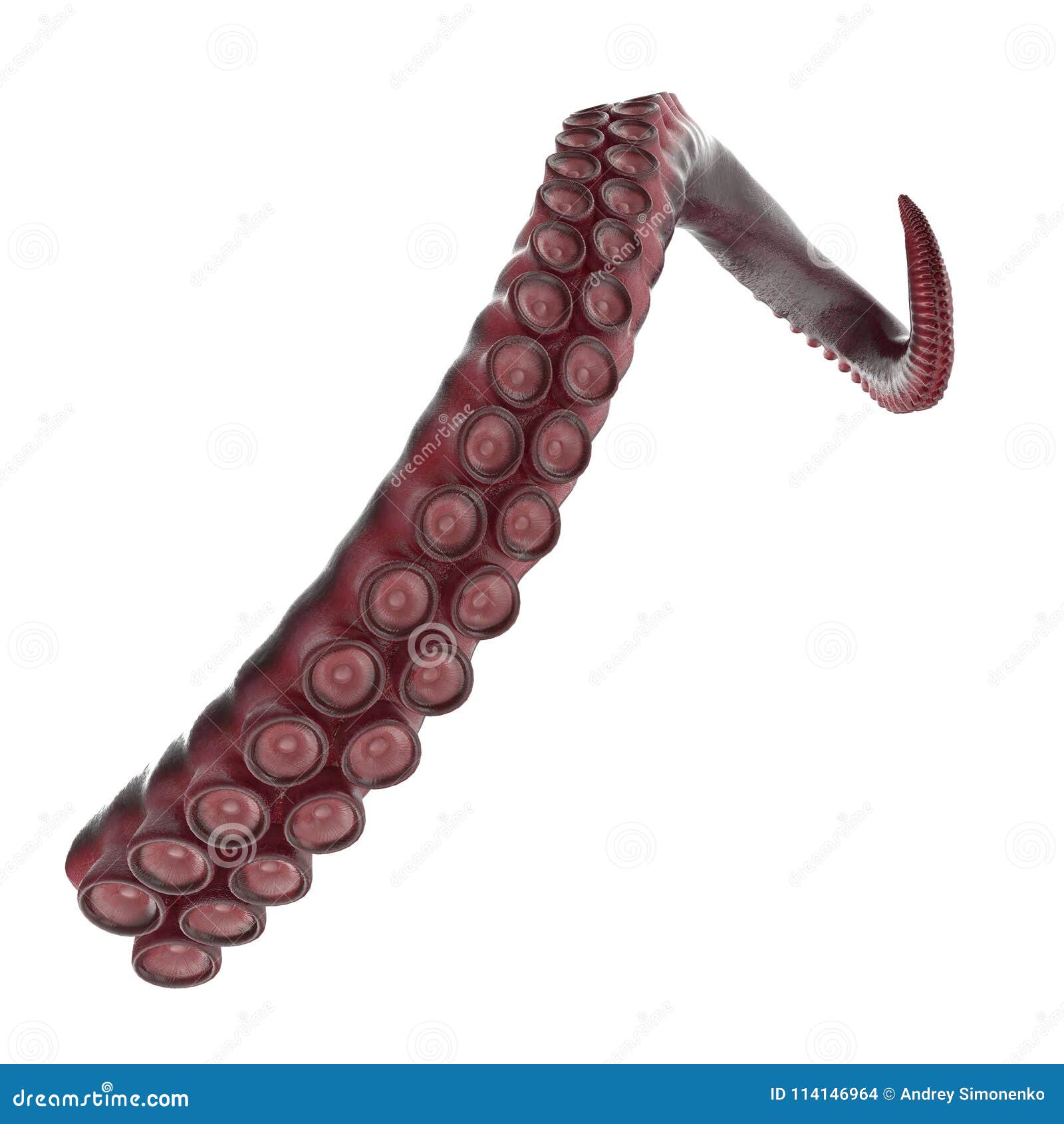 Octopus Tentacle Rectangular Frame Isolated Vector | CartoonDealer.com ...