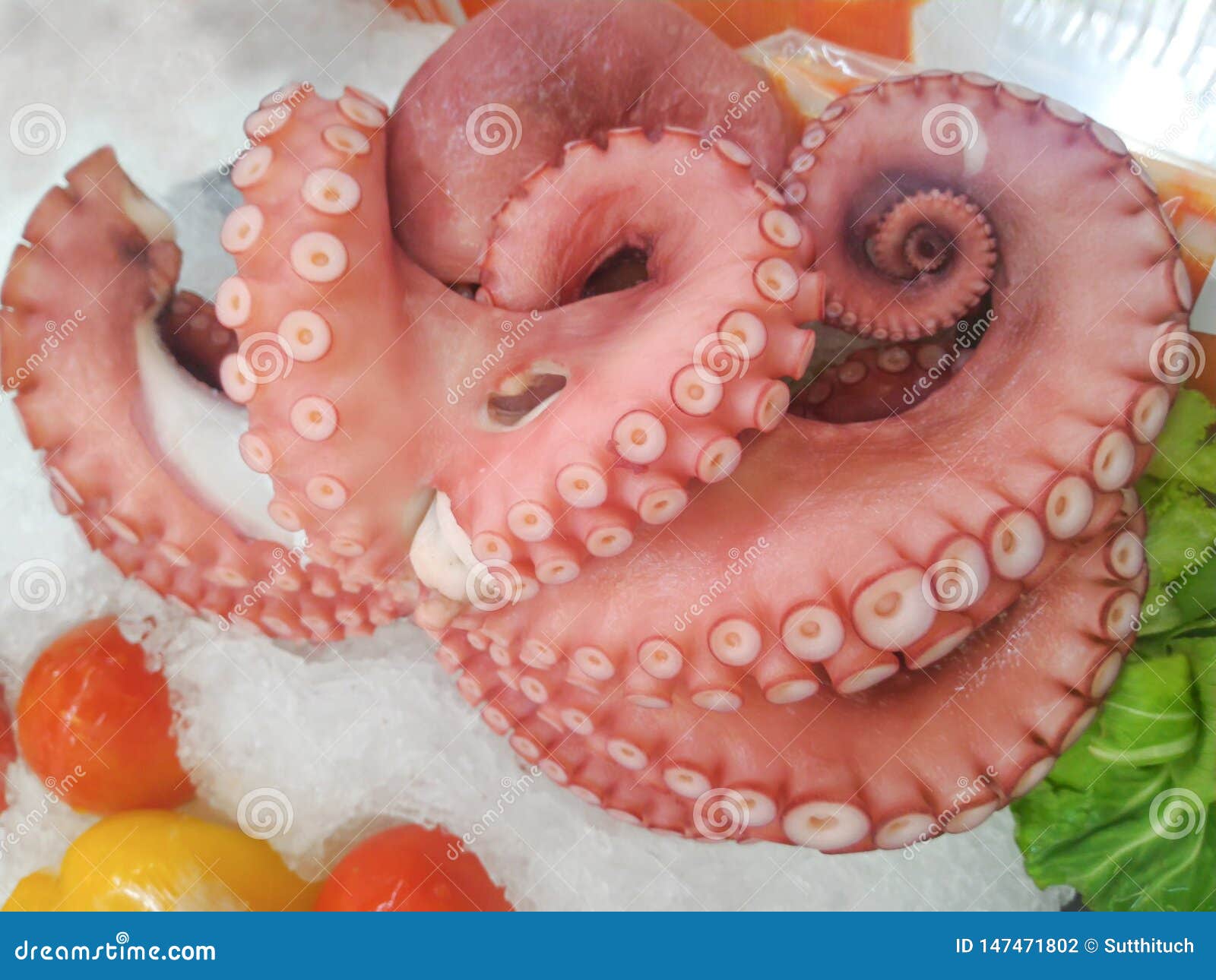 Octopus Tentacles on Ice are Food Stock Photo - Image of animal ...
