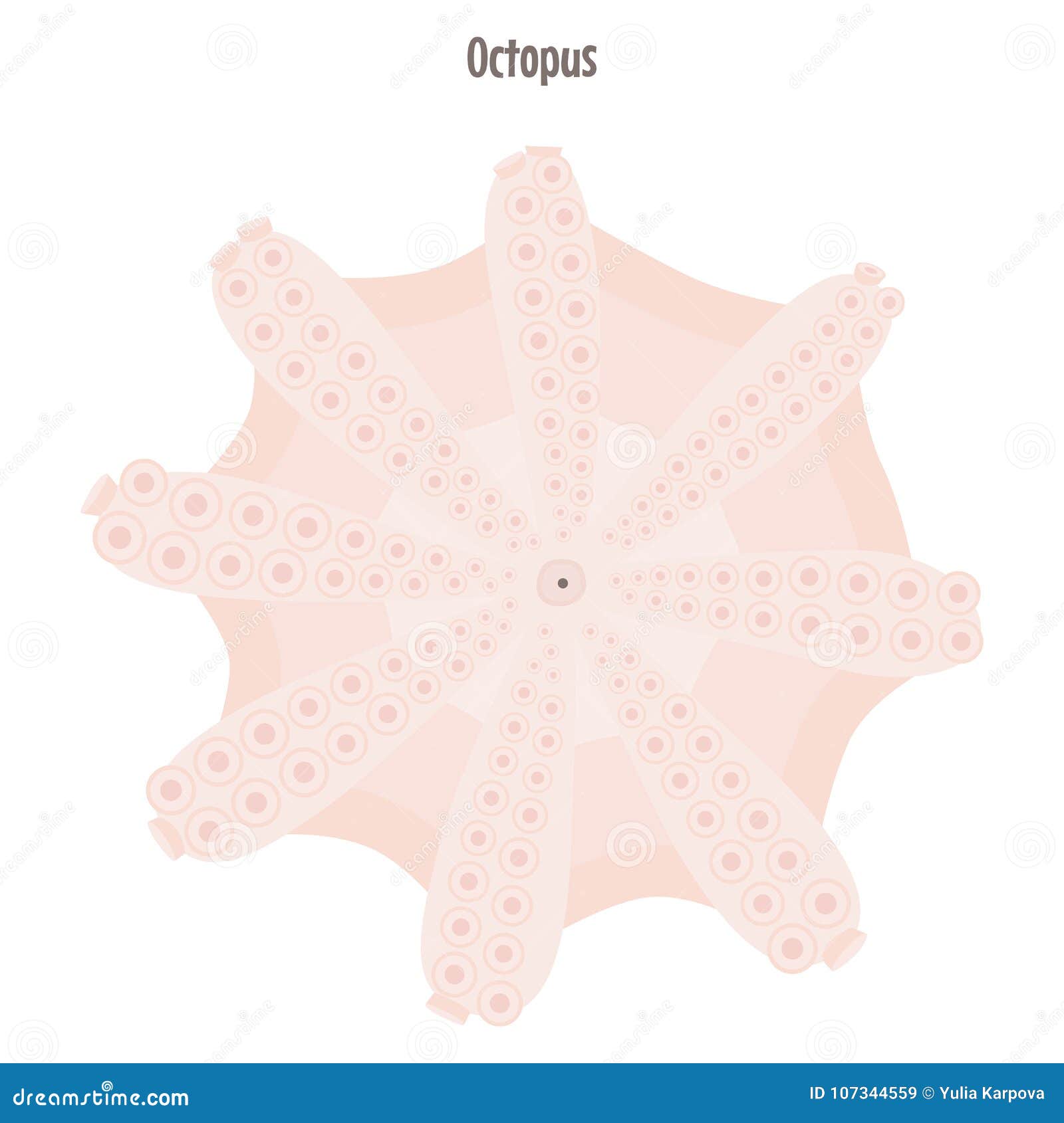 Octopus Top View Vector Isolated on White Stock Vector - Illustration ...
