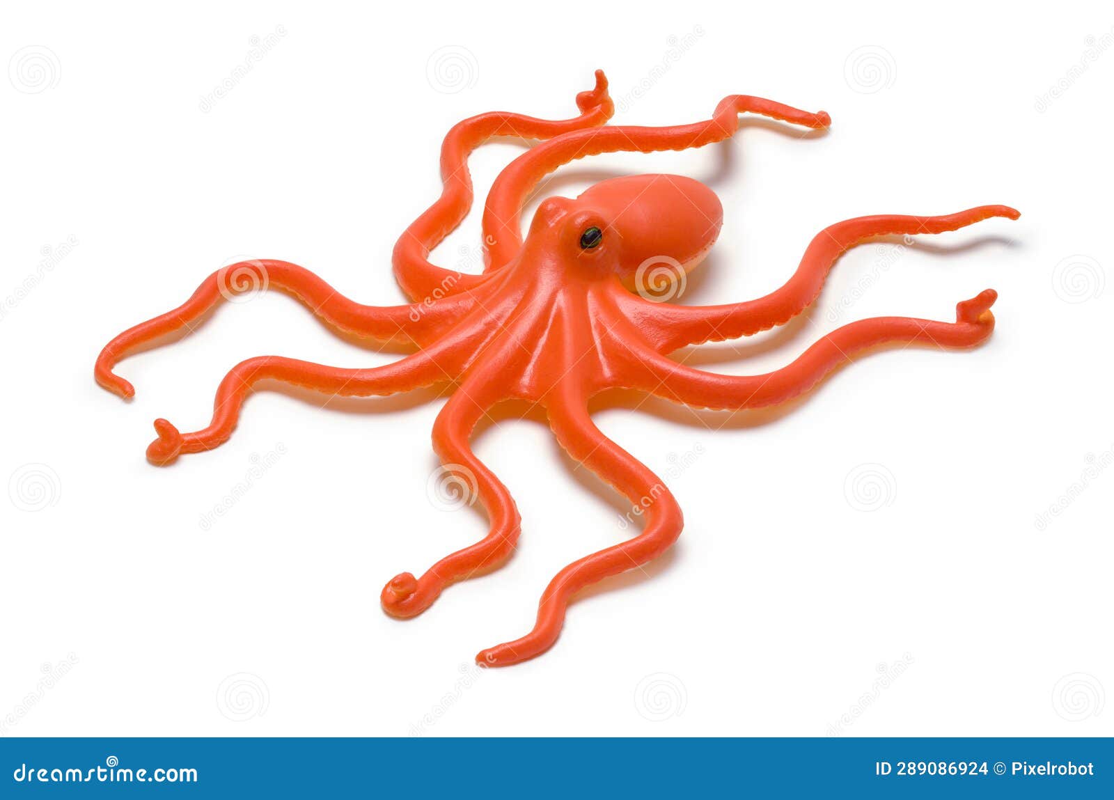 Octopus Toy stock photo. Image of rubber, octopus, ocean - 289086924