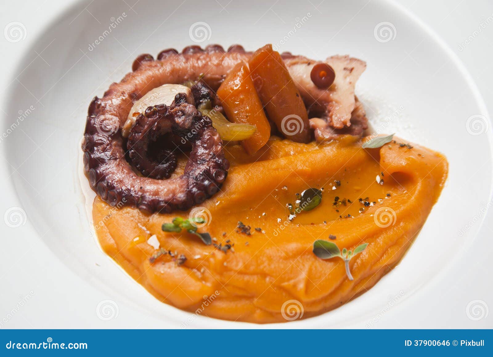Octopus with Vegetable Puree Stock Photo - Image of puree, decoration ...