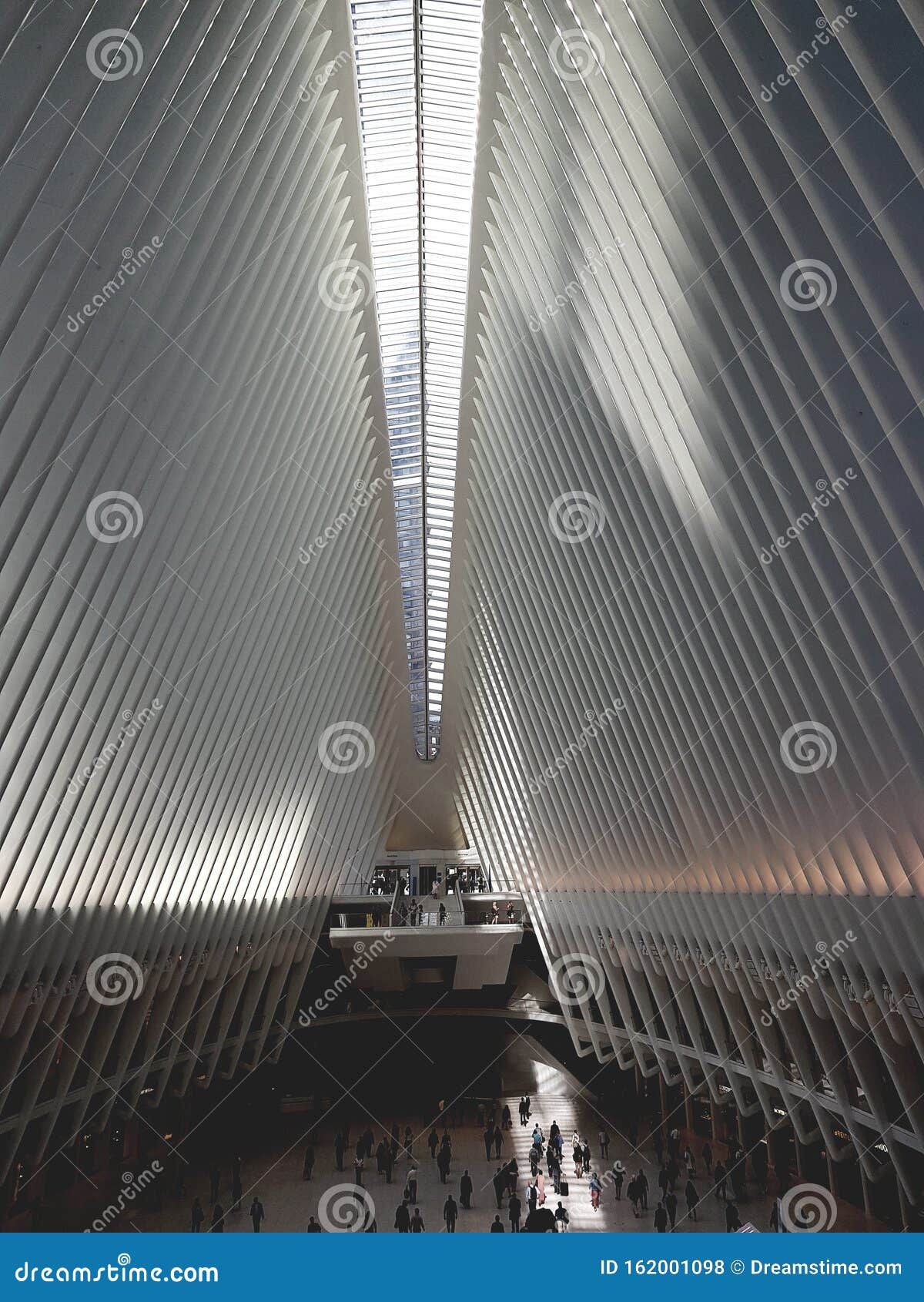 Oculus Stock Photos - Download 5,149 Royalty Free Photos