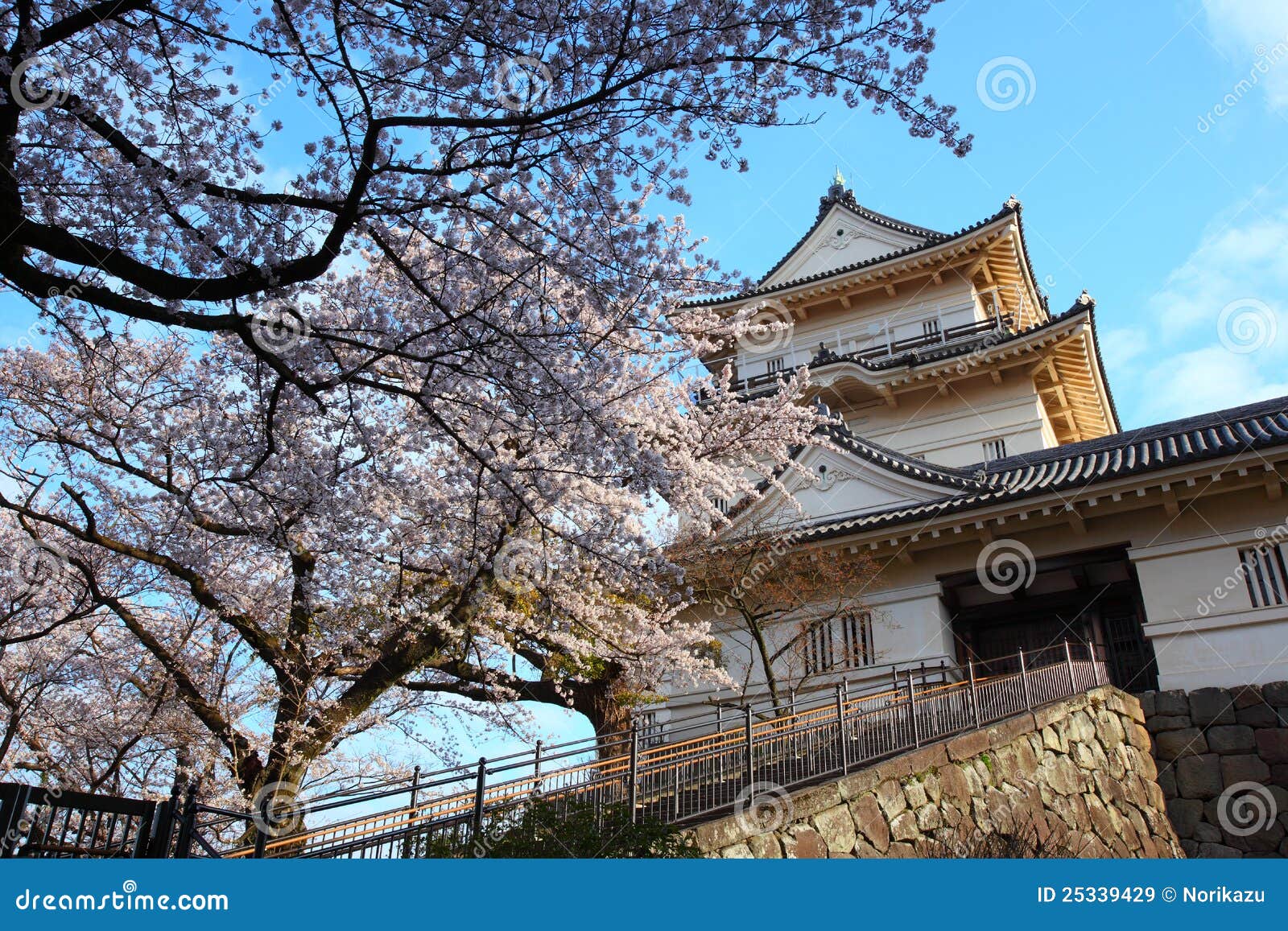 Odawara Castle Park In Kanagawa, Japan Stock Photography ...