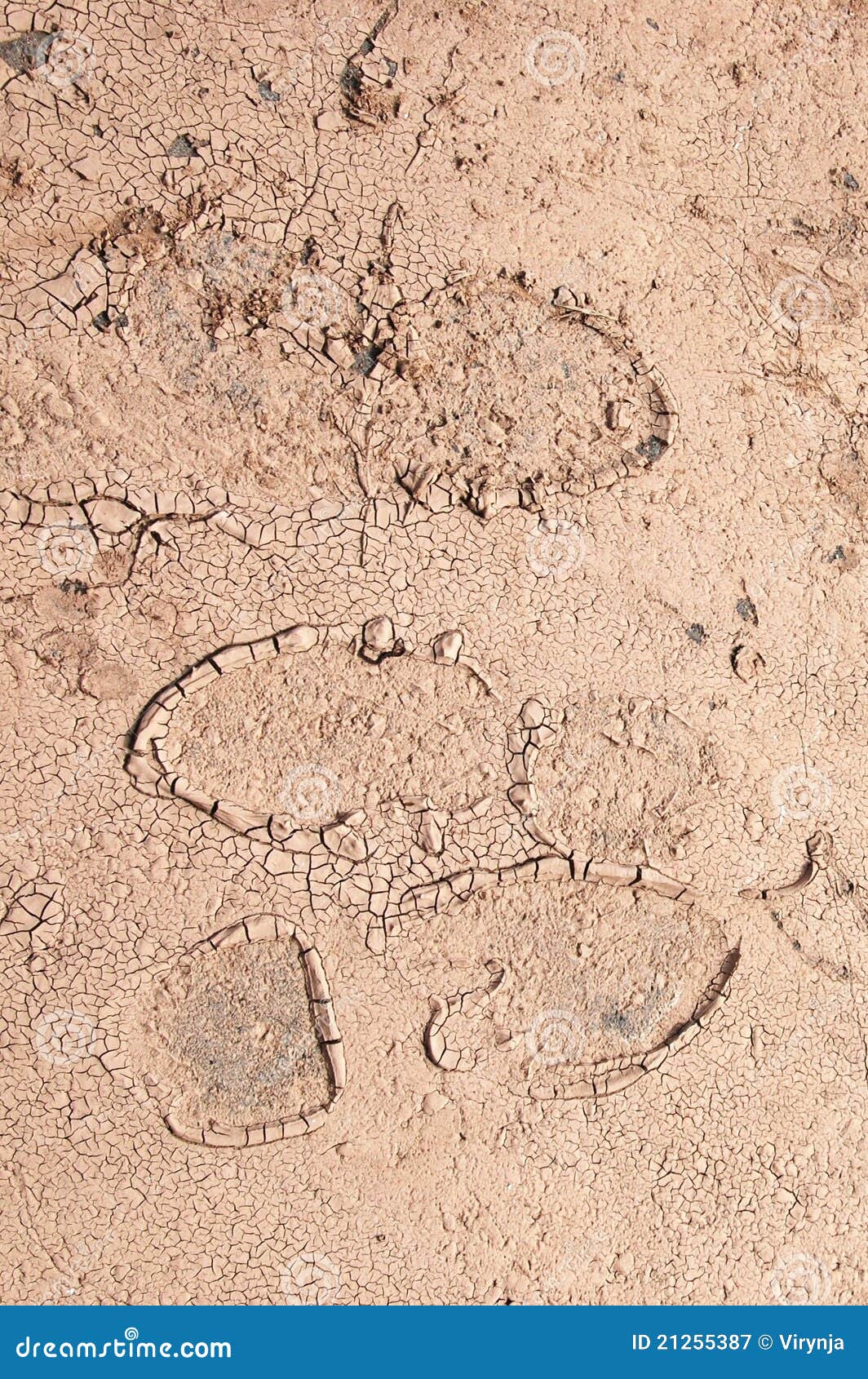 Odcisk stopy obraz stock. Obraz złożonej z przedruk, podłoga - 21255387