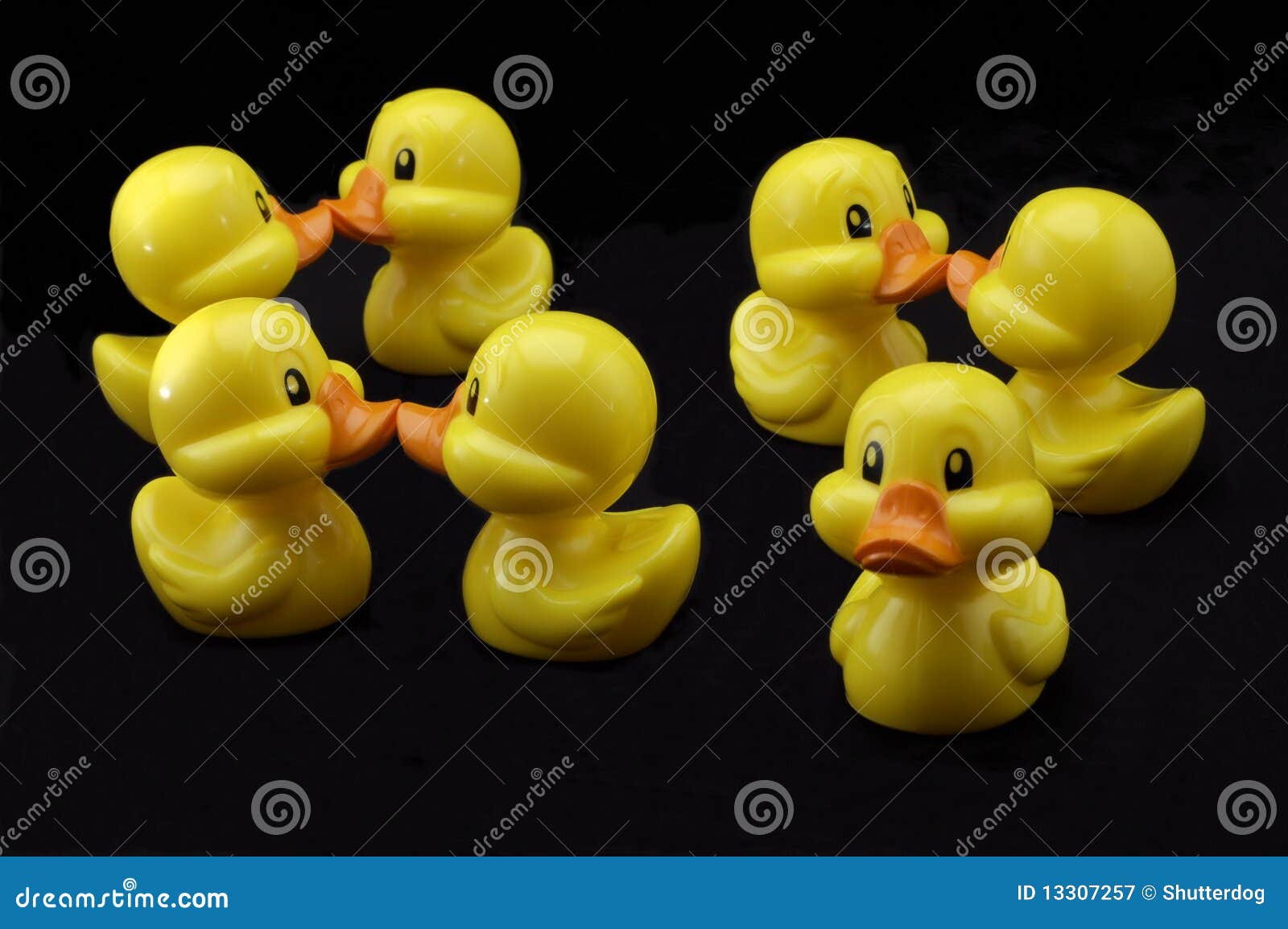 Odd duck out stock image. Image of dejected, uncomfortable - 13307257