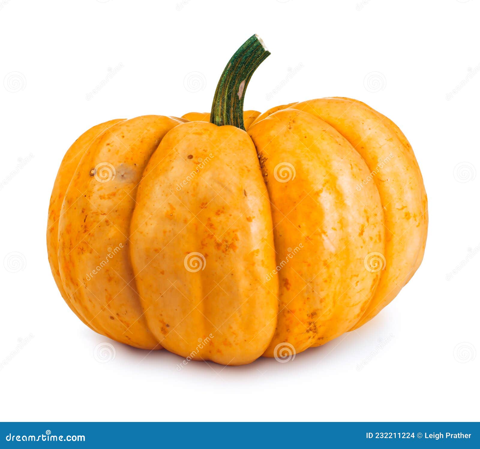 Odd Misshapen Orange Pumpkin for Halloween Isolated on White Stock ...