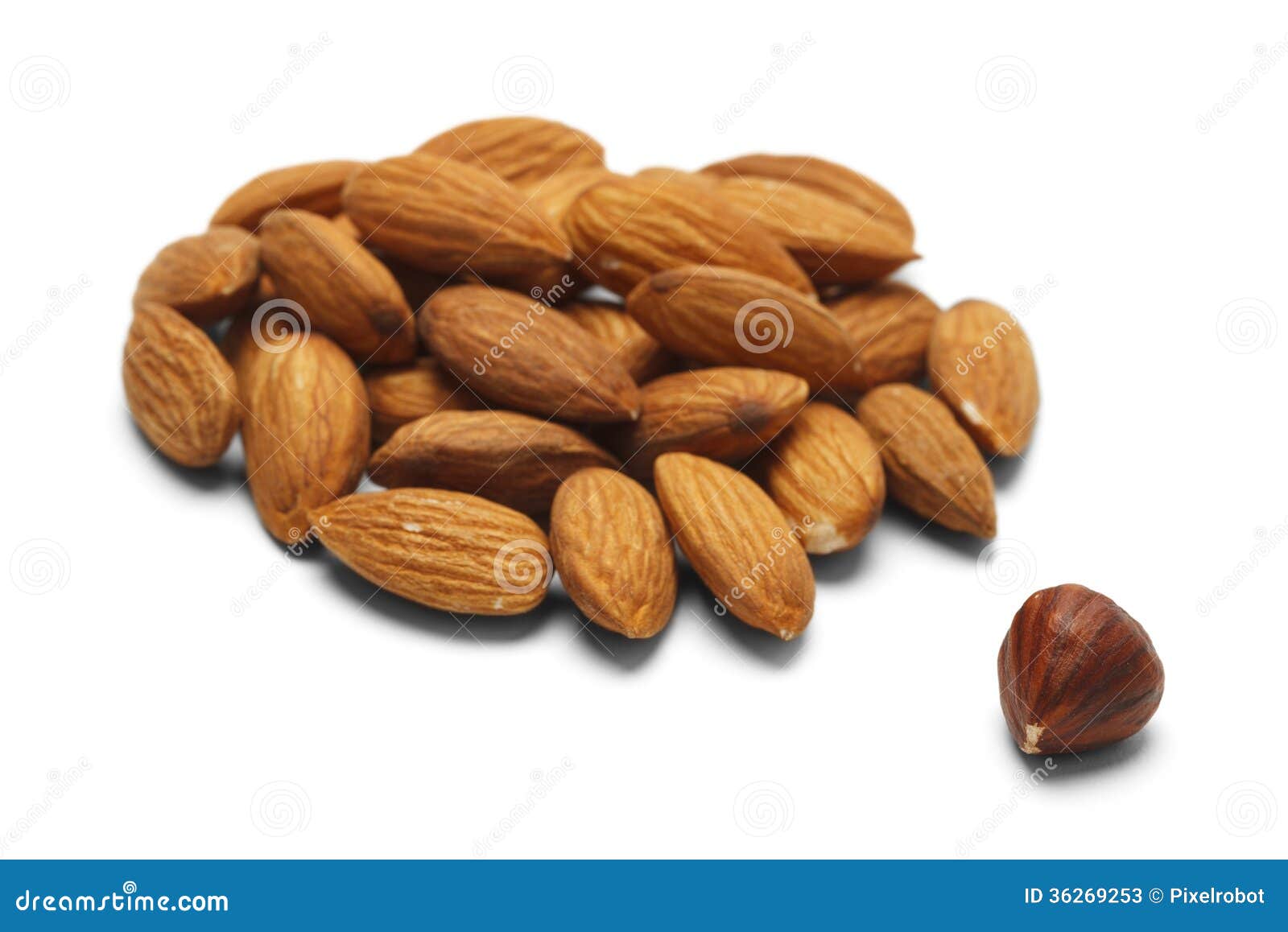 Odd Nut Out stock image. Image of food, isolated, almond - 36269253